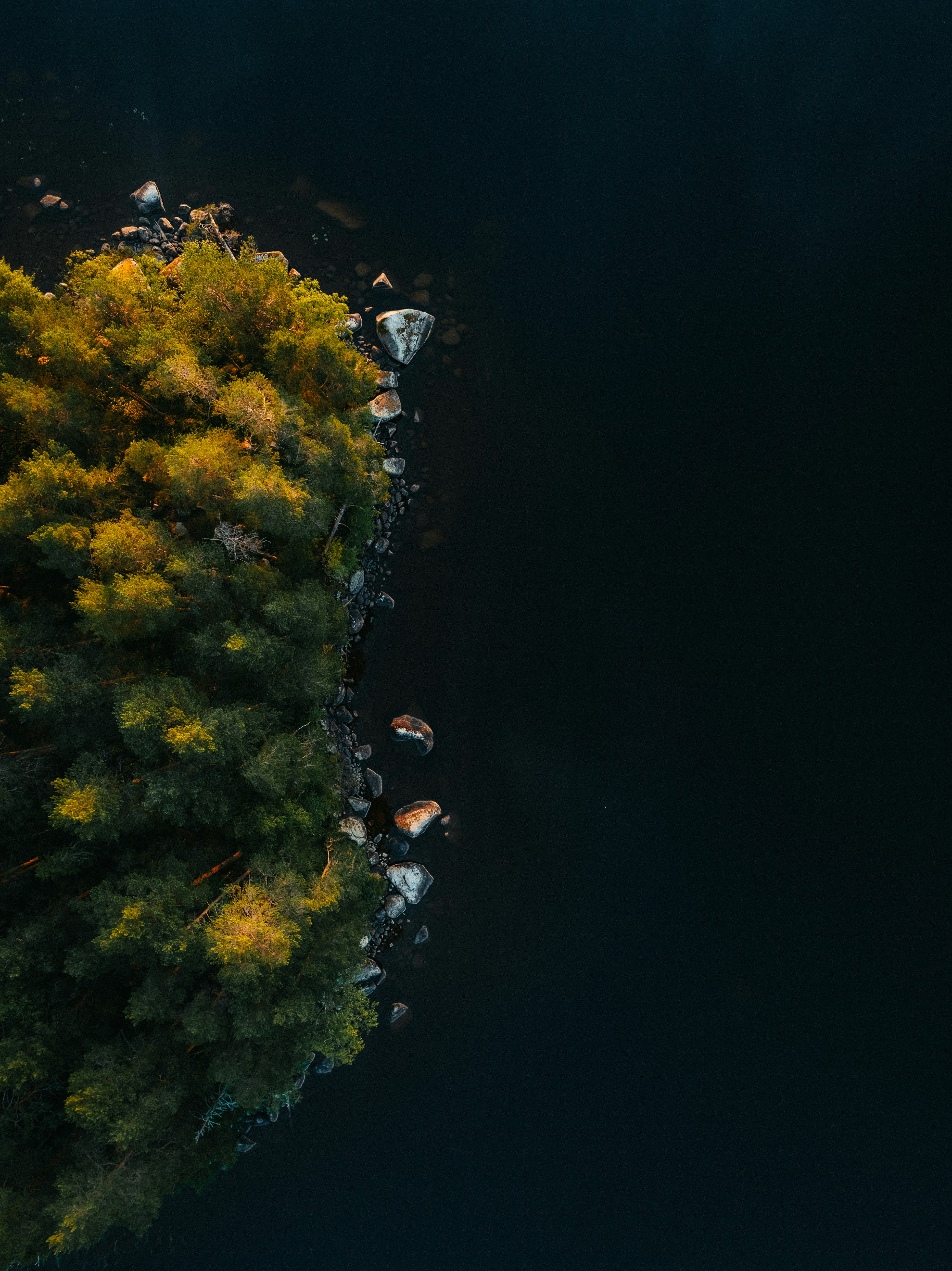 Aerial view of trees and rocks on a dark water surface