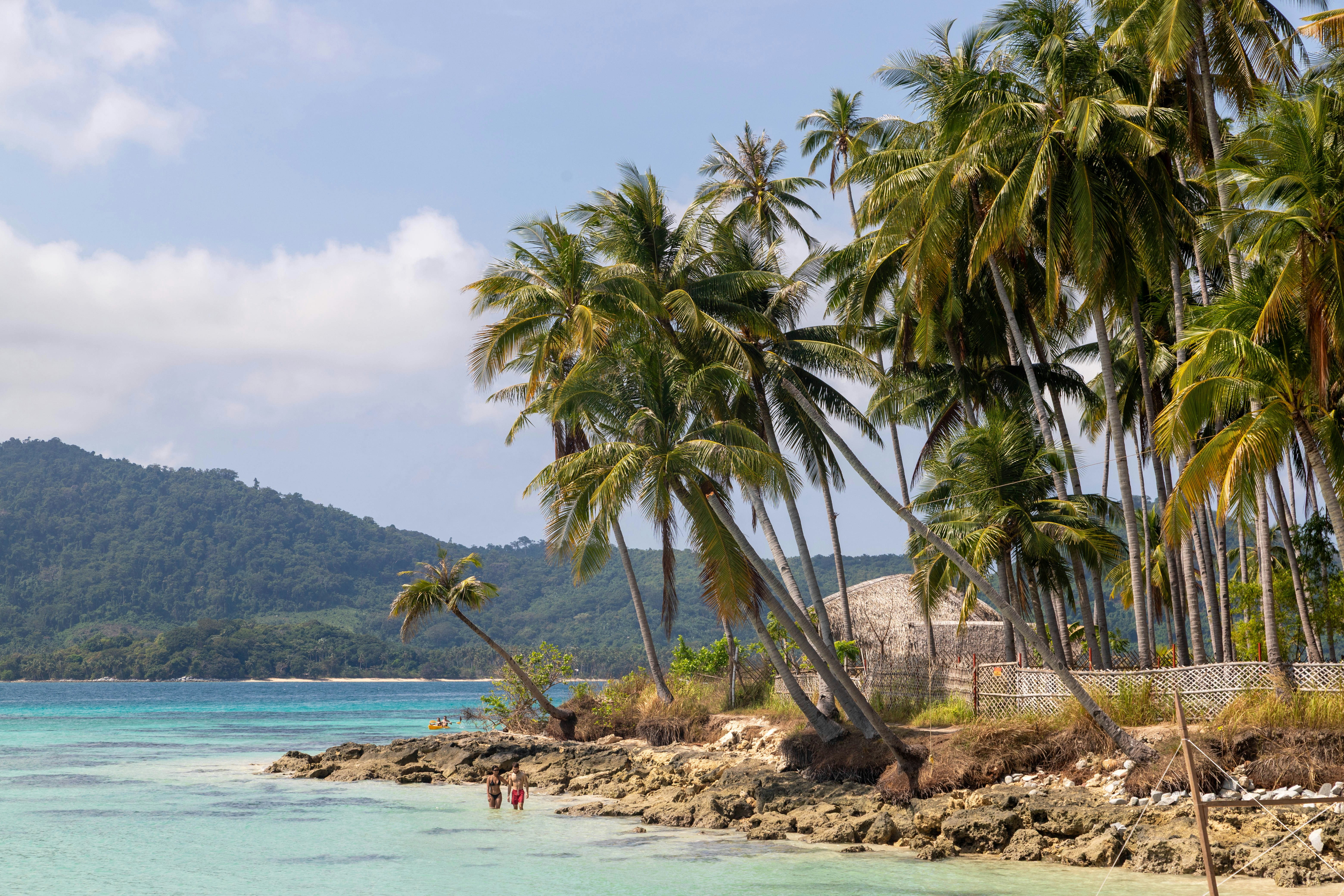Palm trees sway gently along a tranquil beach, with two figures walking near the water's edge. The serene landscape captures a perfect day by the coast.