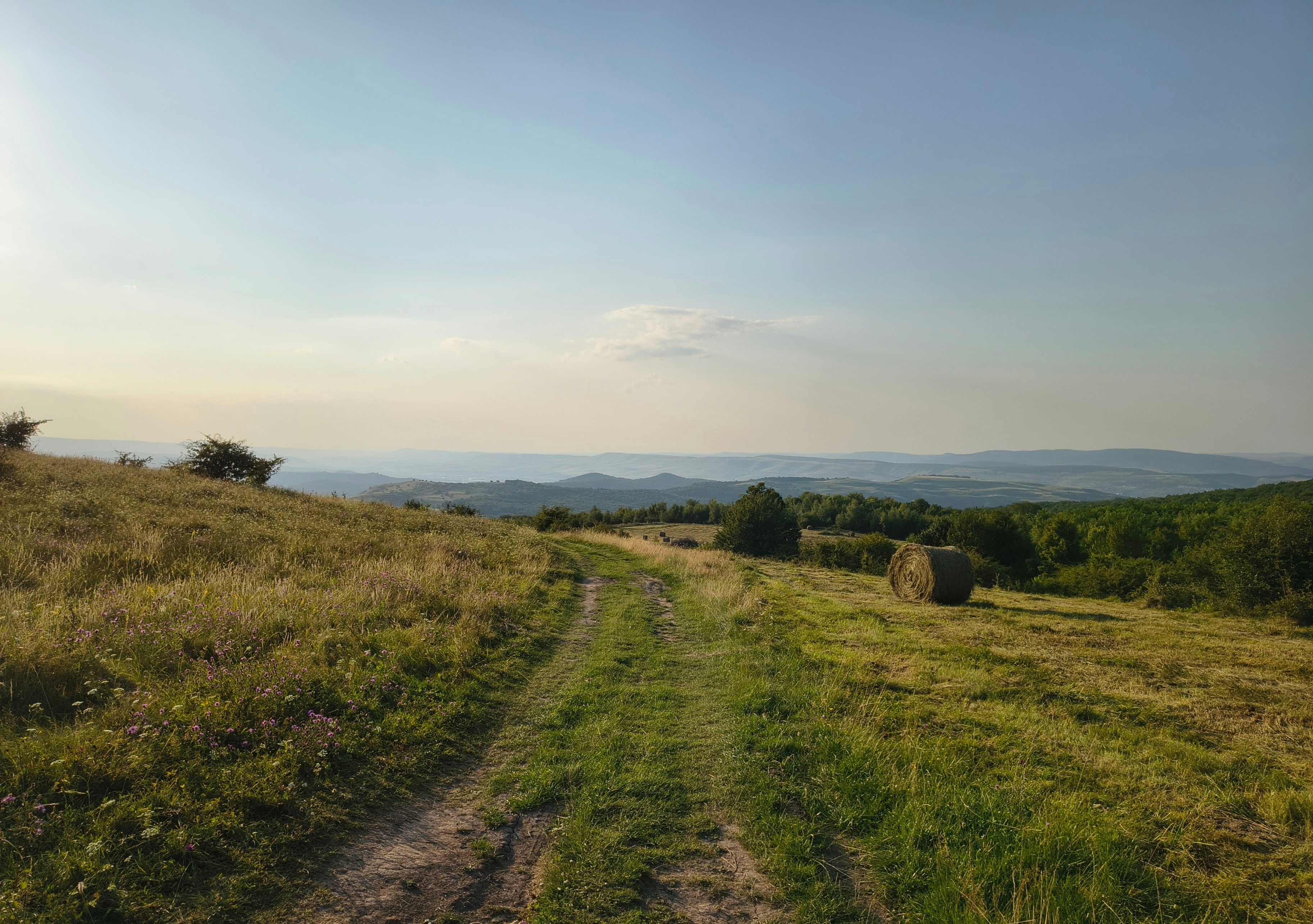 Dirt path through grassy hills with hay bales.