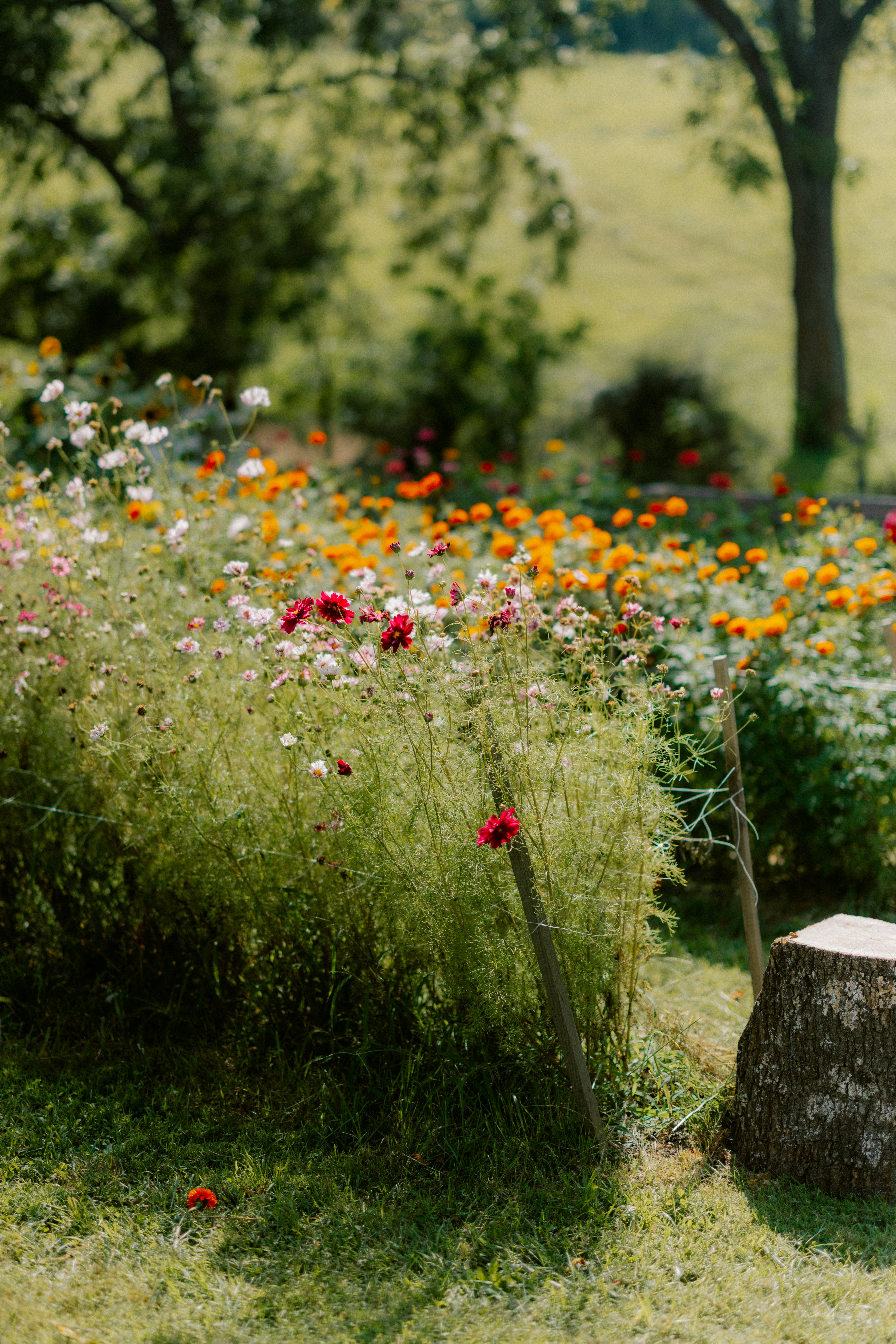 Photo by Brooke Balentine with Canon EOS R5 Mark II