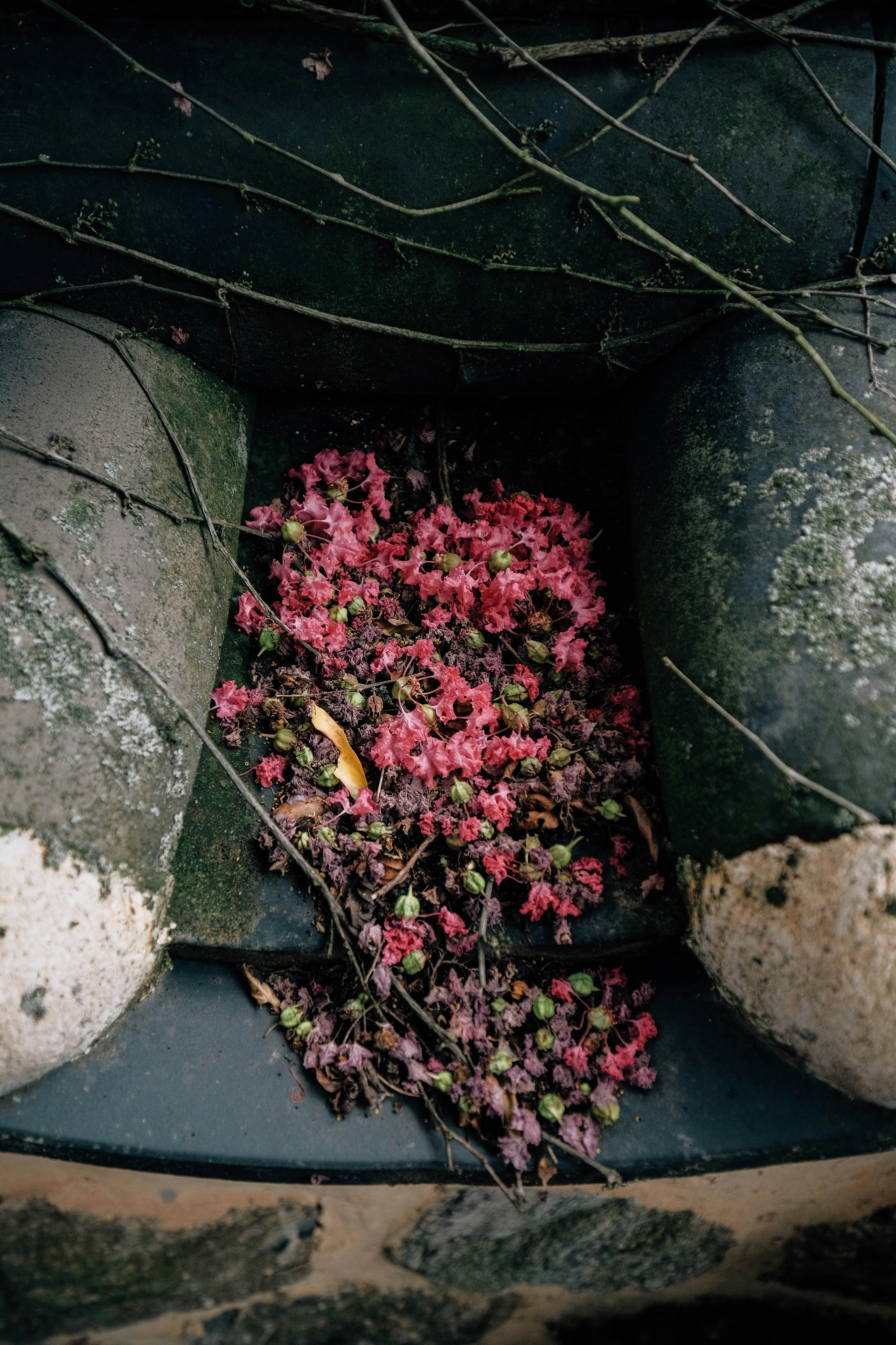 Photo by insung yoon with Fujifilm X-T3