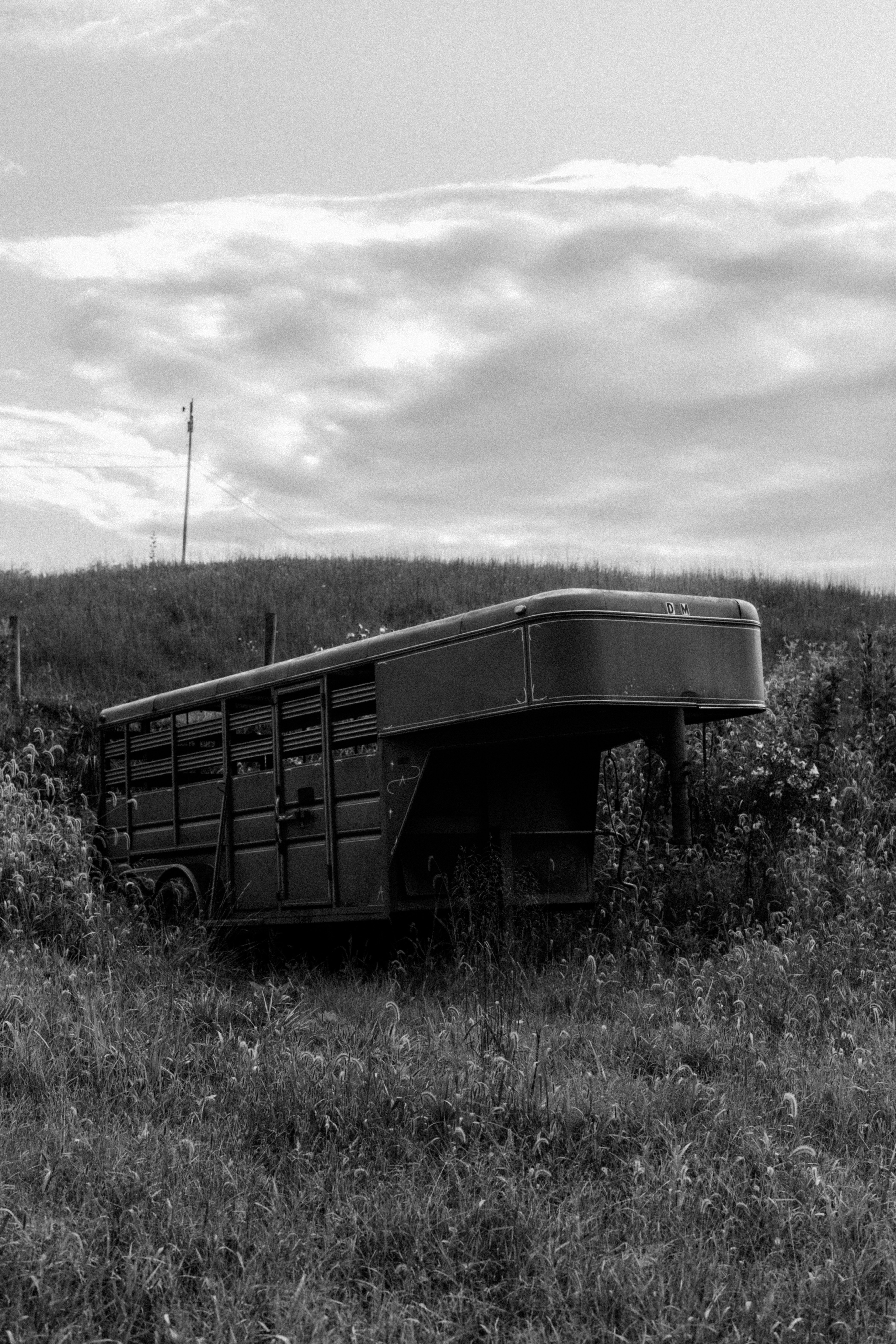 Old livestock trailer parked in a grassy field.