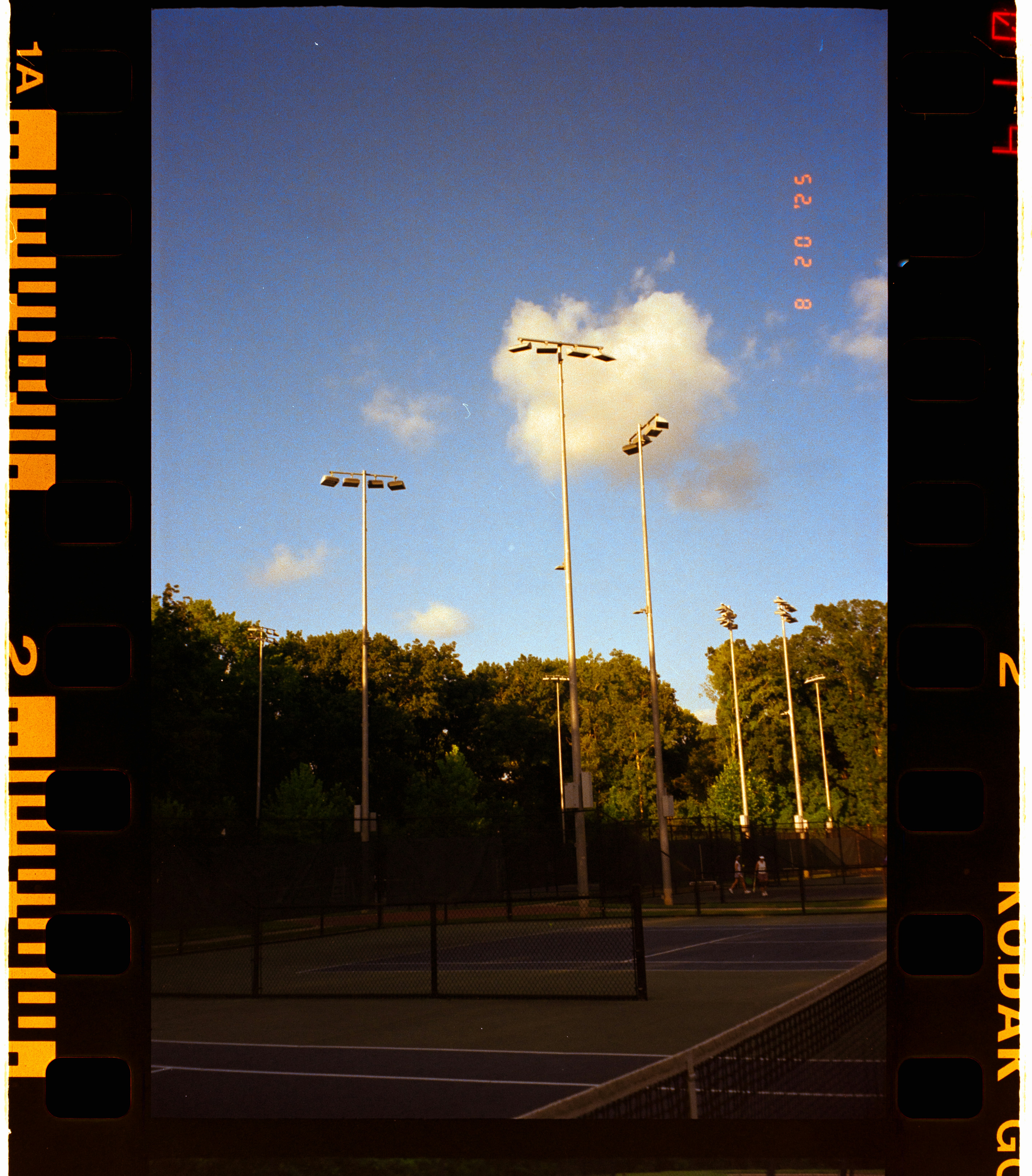 Sample photo from Sony Alpha 1