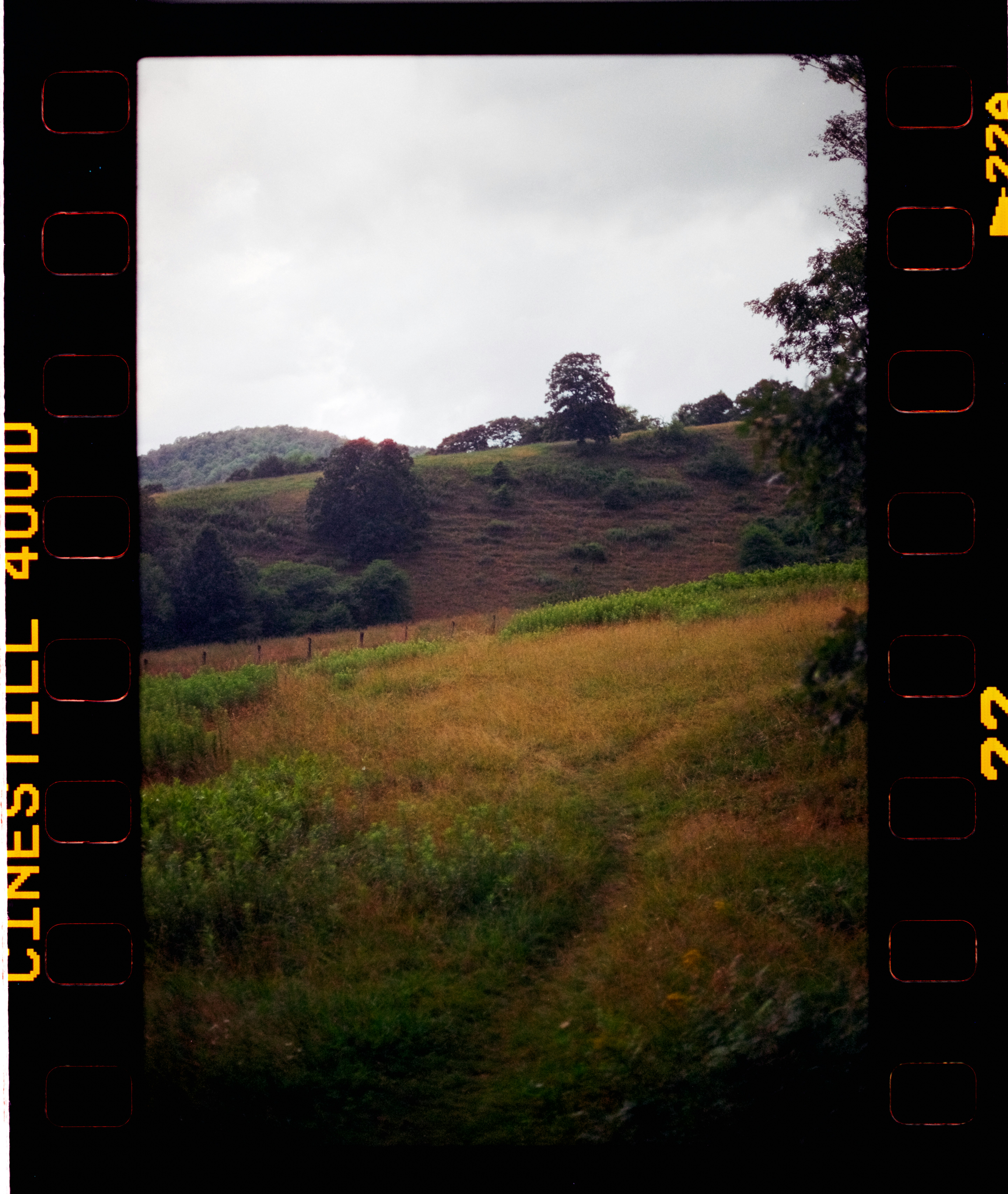 Whispers of the Hills: A Serene Landscape