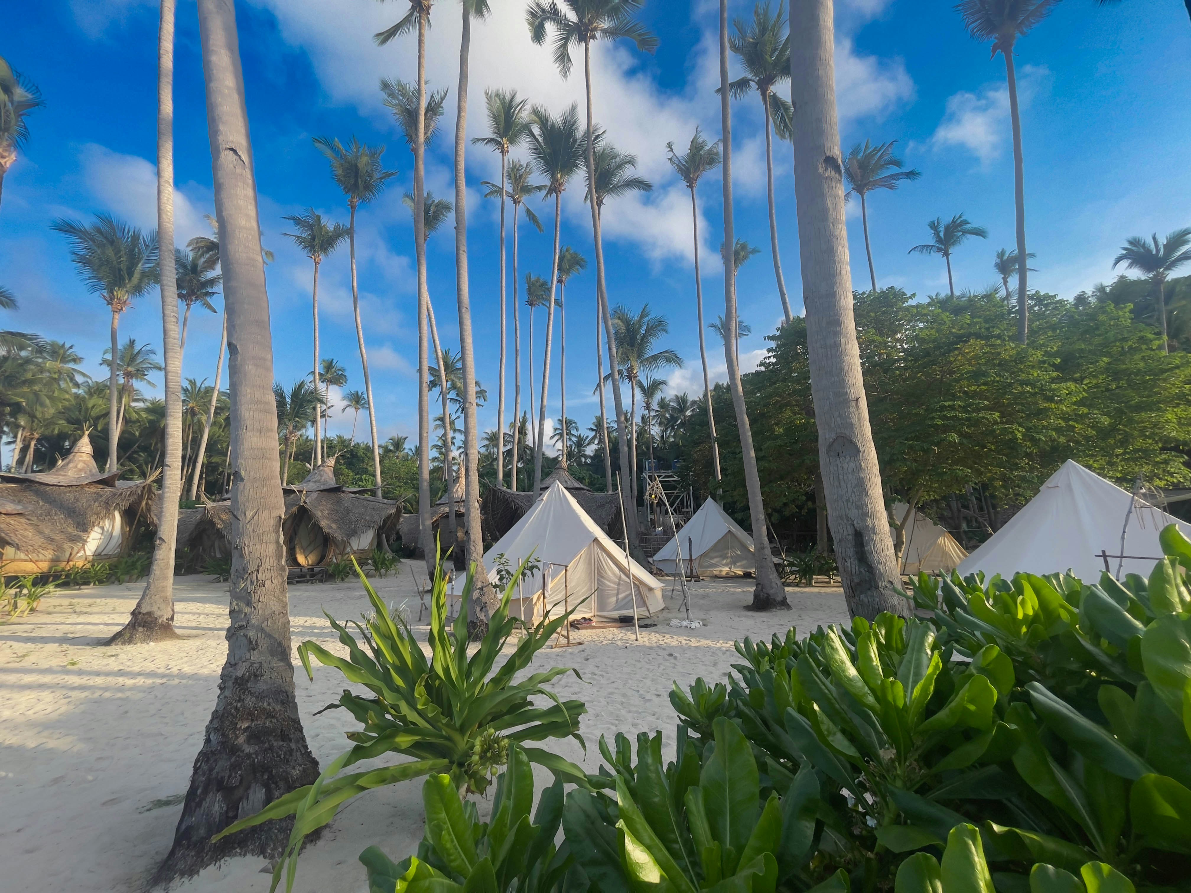 Tropical beach resort with palm trees and tents.