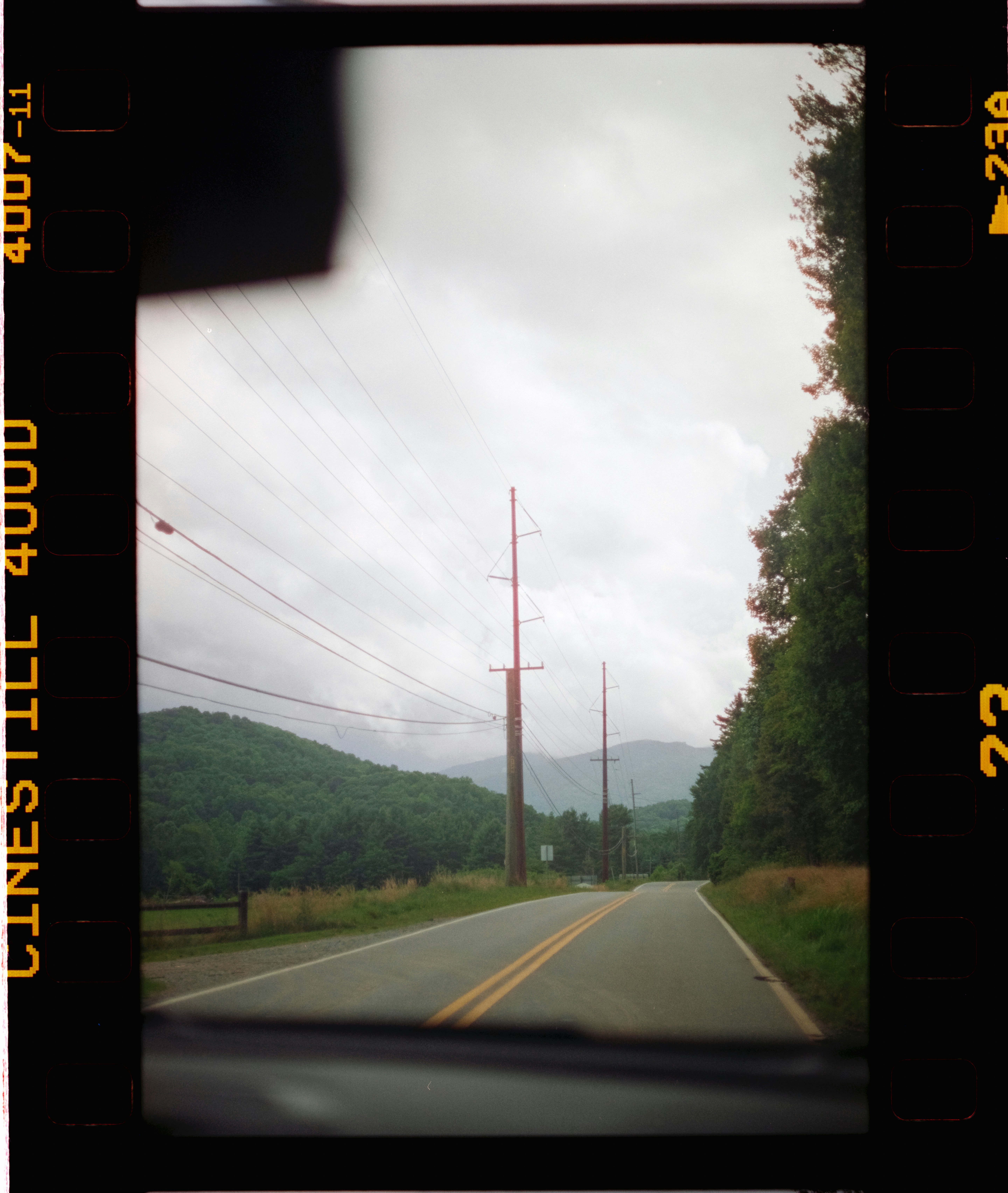 Journey Through the Verdant Hills