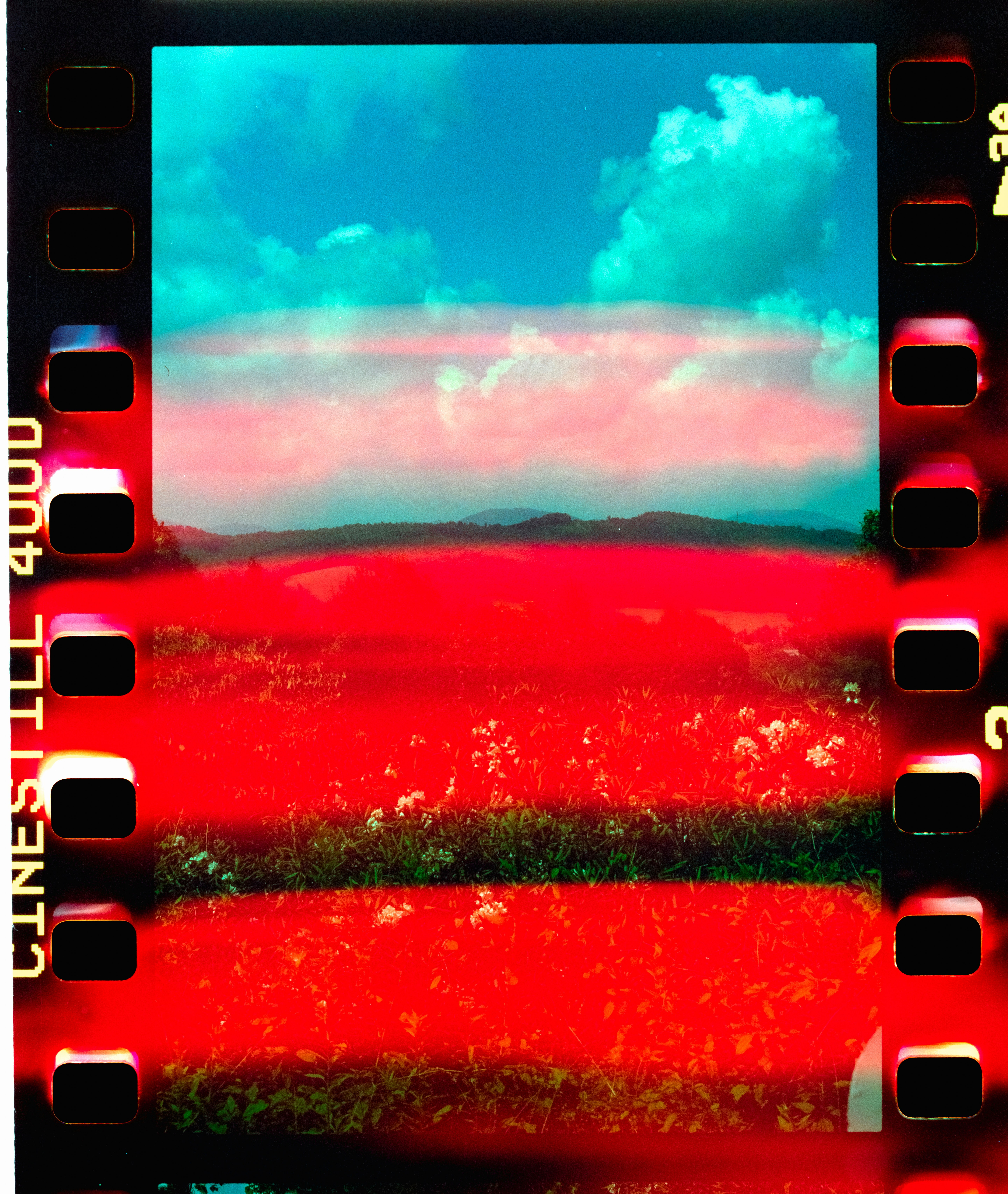 A vivid landscape featuring rolling fields under a dramatic sky, infused with surreal color distortions. The film strip edges add a nostalgic touch.