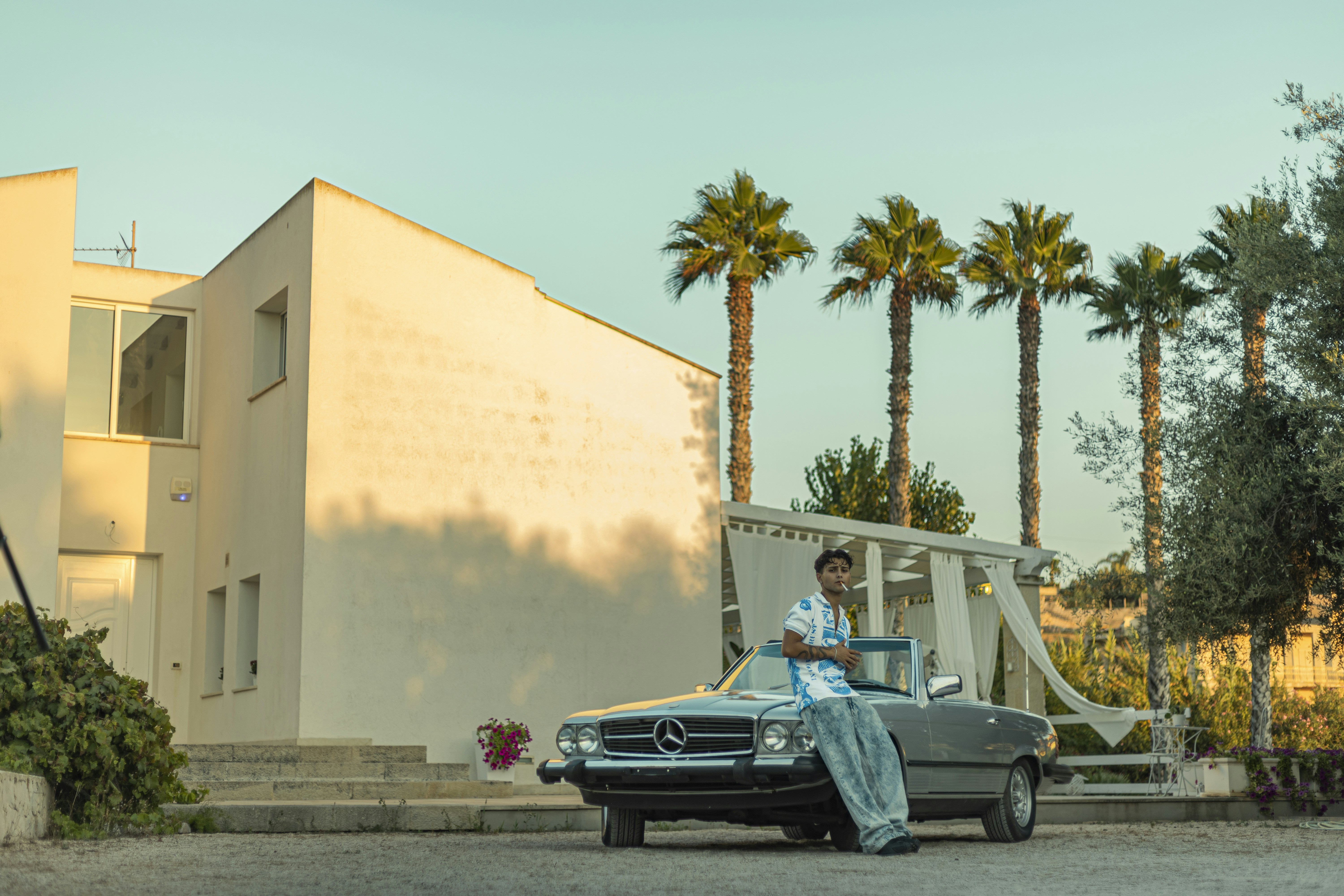 Retro Vibes Under the Palm Canopy