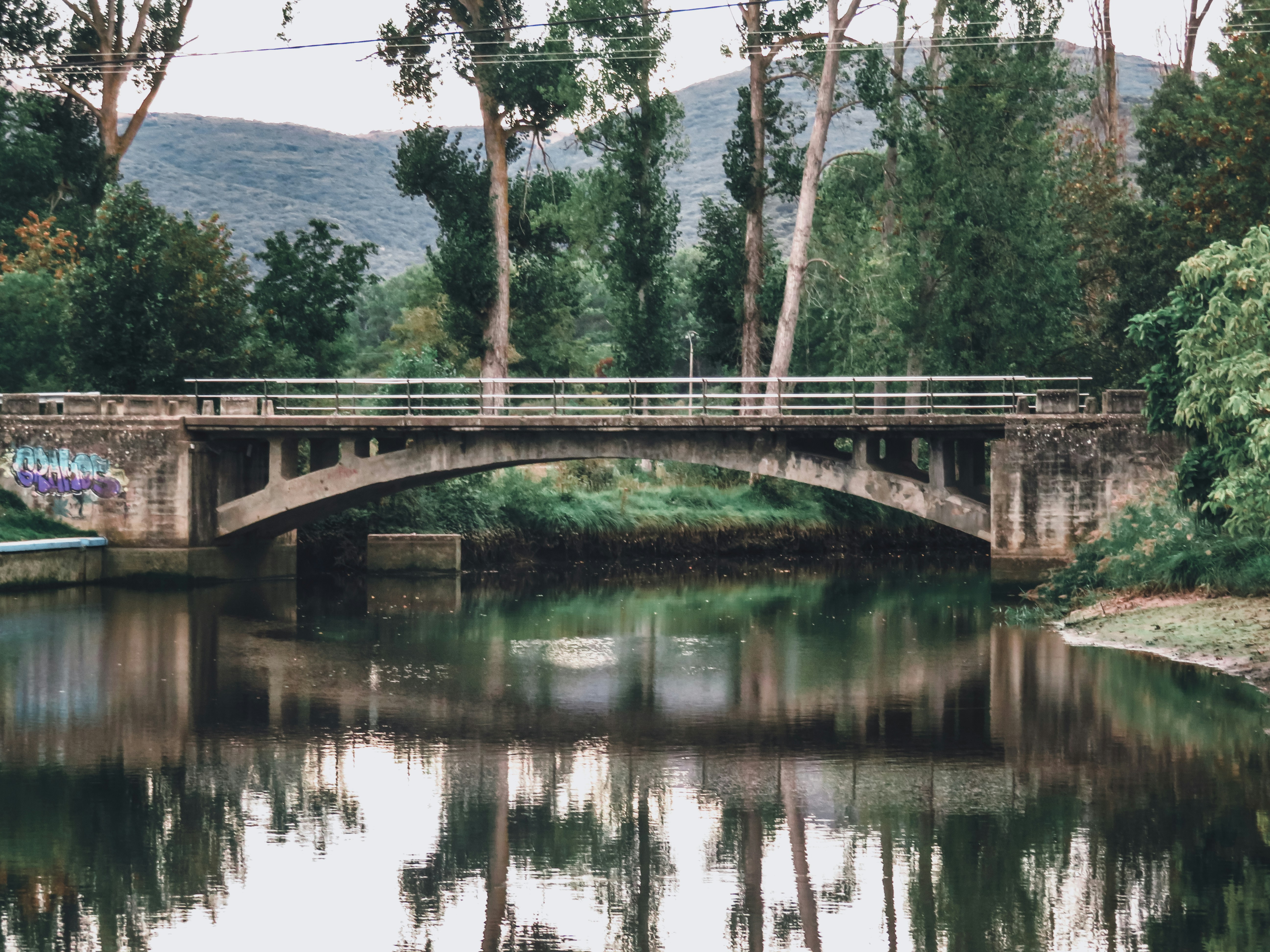Whispers of Nature: A Bridge Over Tranquil Waters
