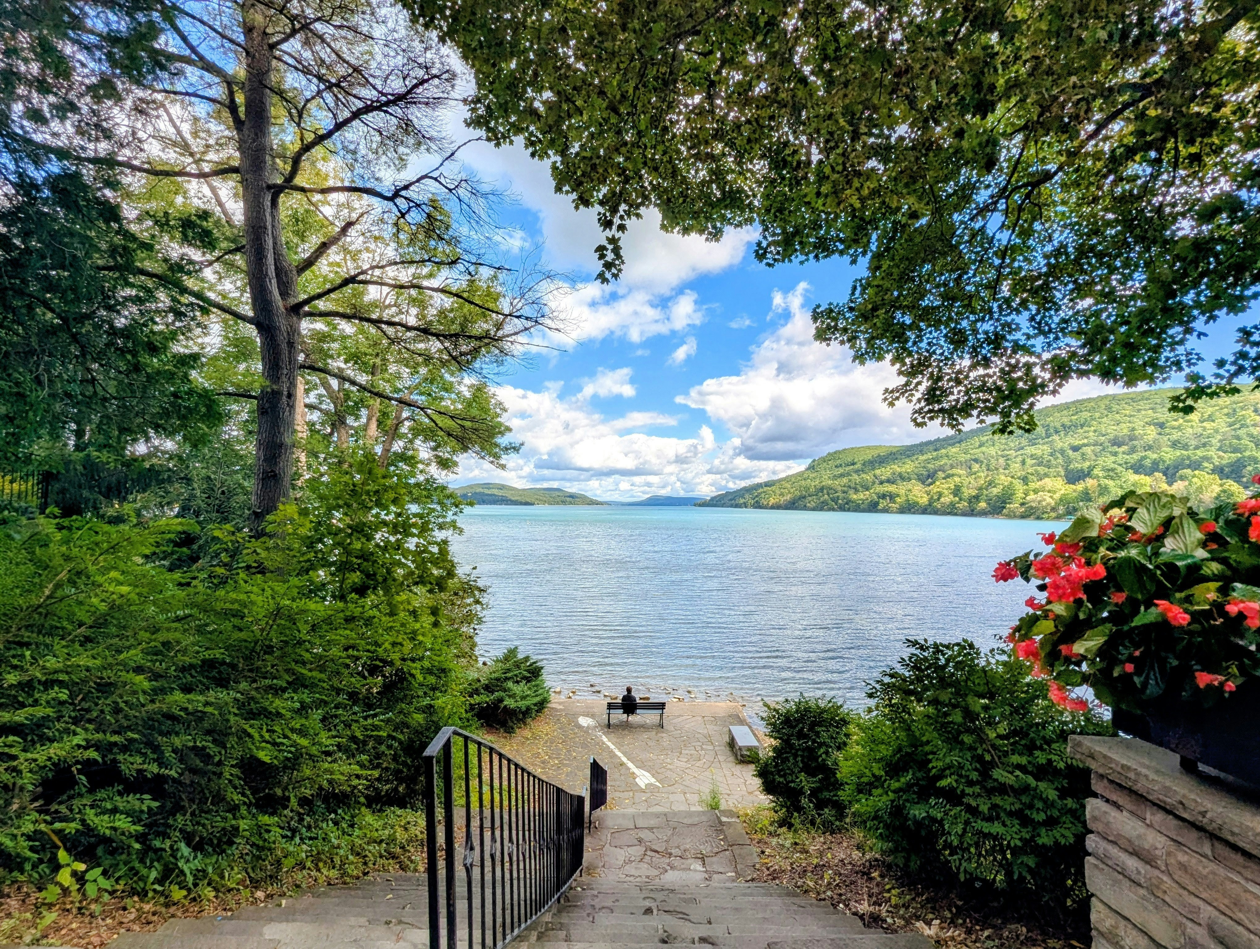 Scenic lake view with lush greenery and blue sky
