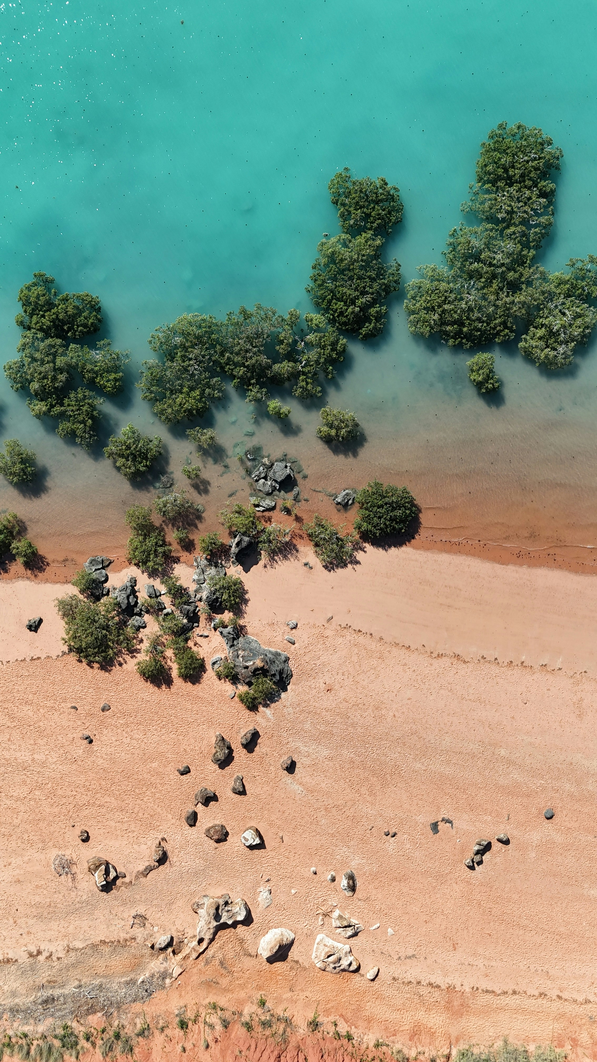 Emerald Waters Embracing Sandy Shores