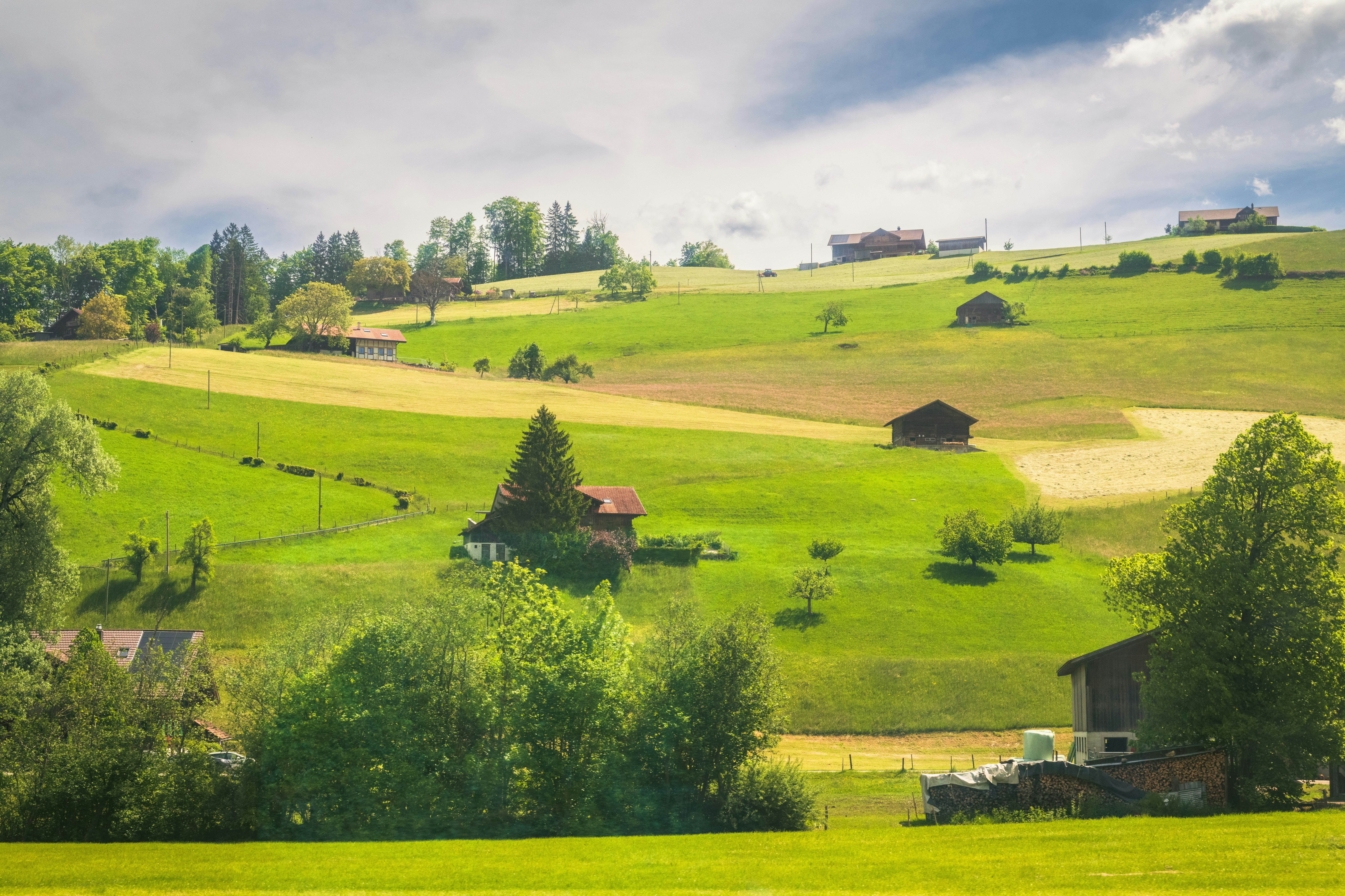 The Serene Tapestry of Rolling Hills