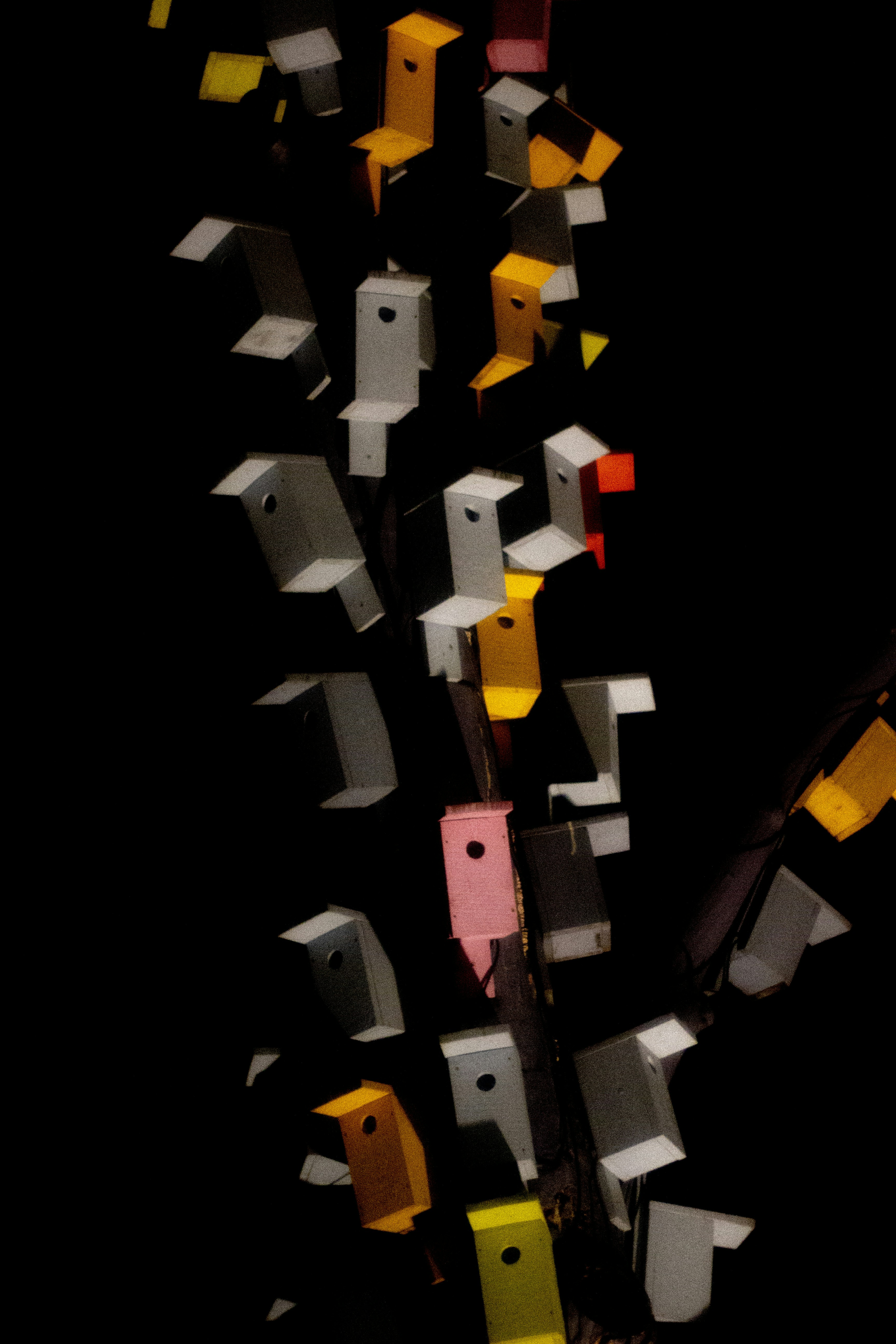 Whimsical Aviary: A Nighttime Display