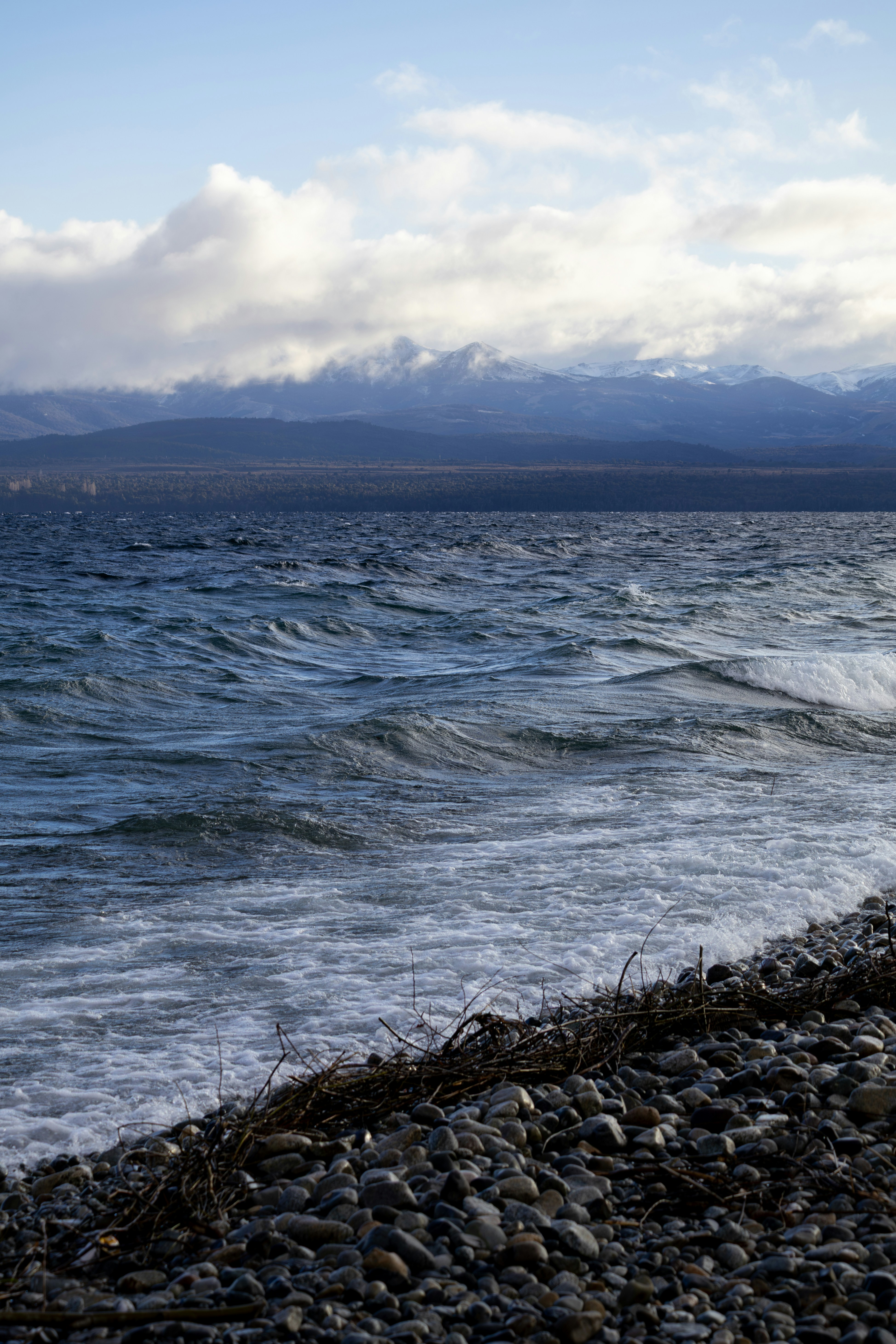Whispers of the Water's Edge
