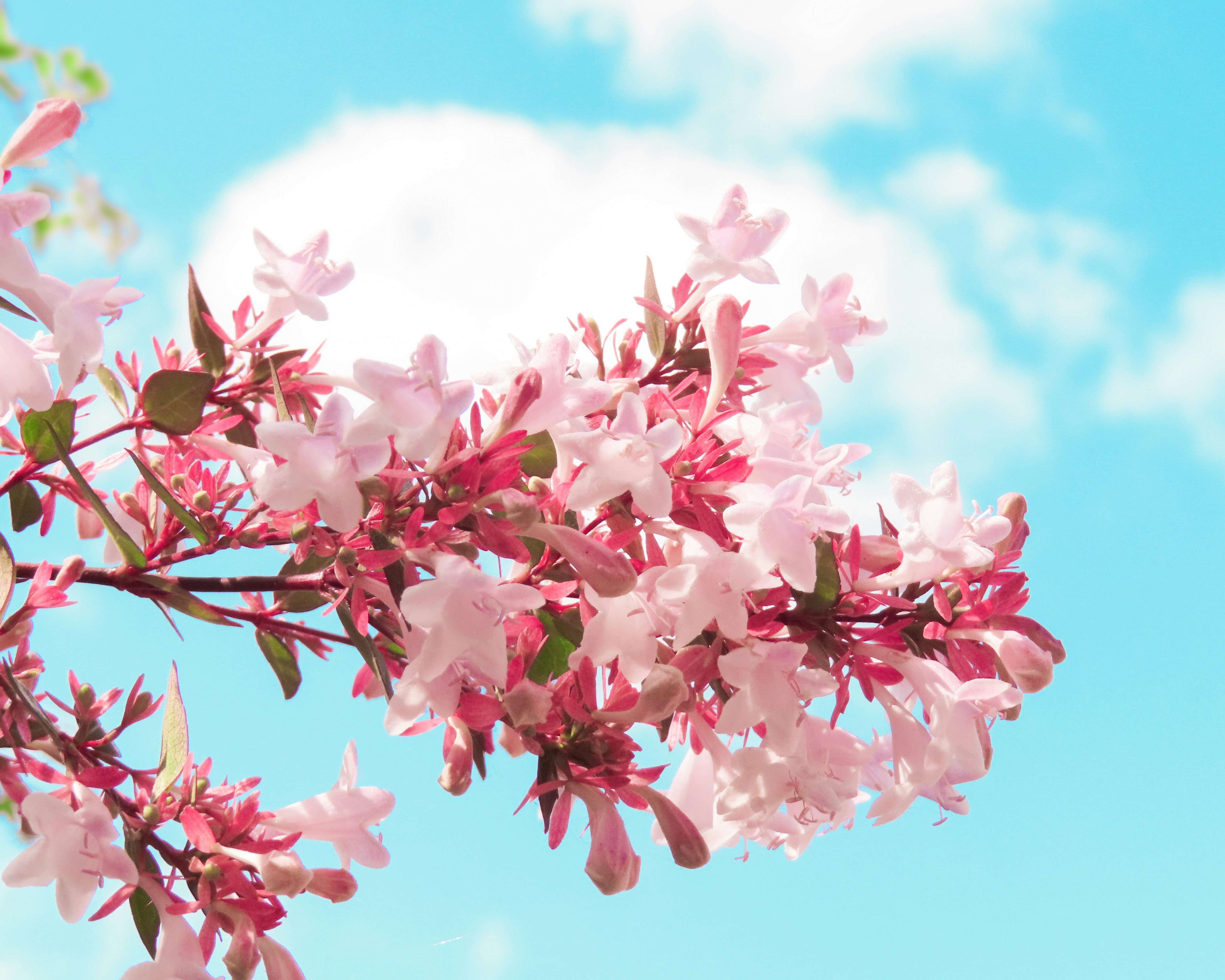 HUI Mandy (@mandyhui) | Comunidad de fotos de Unsplash