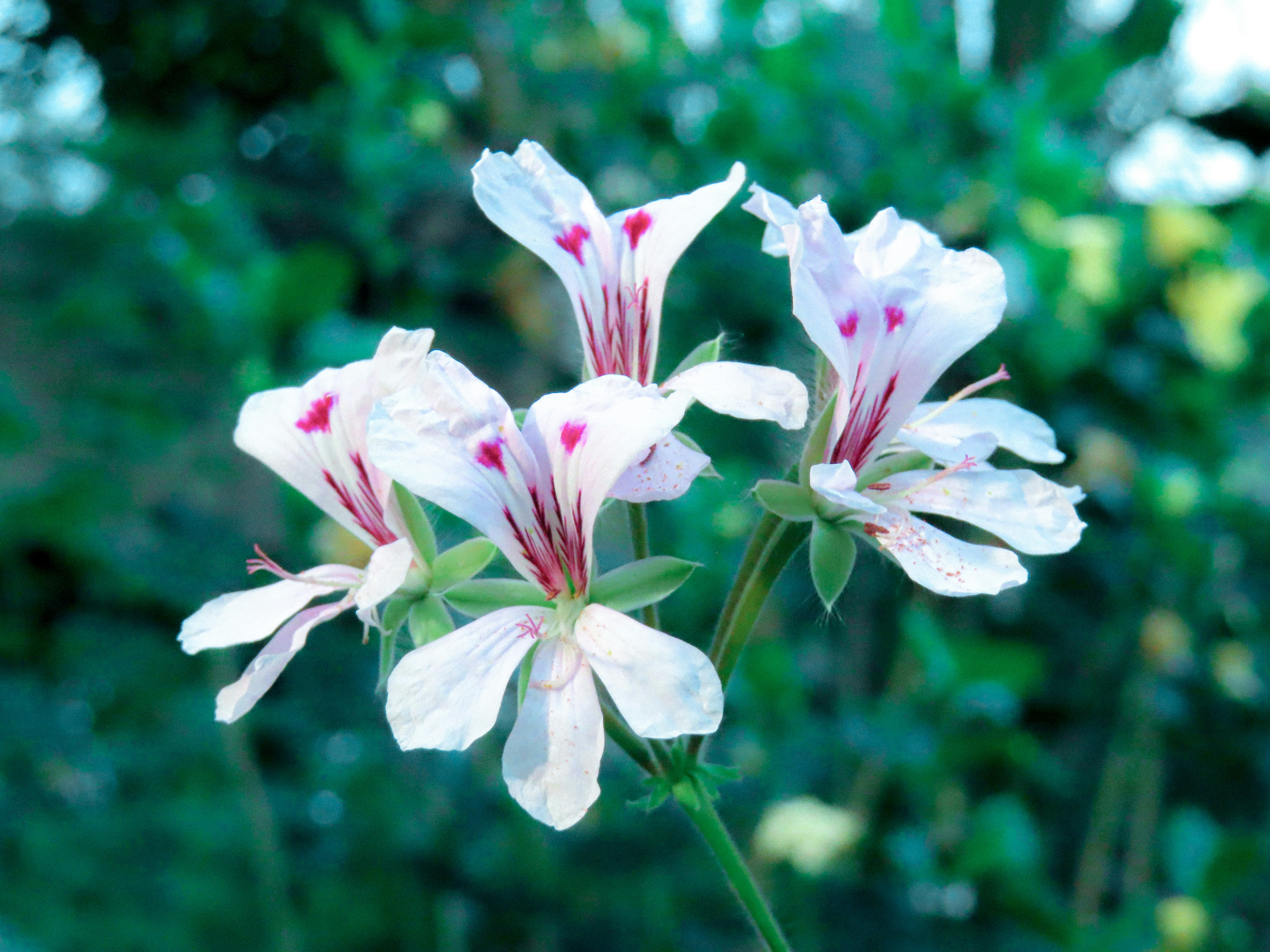 HUI Mandy (@mandyhui) | Comunidad de fotos de Unsplash