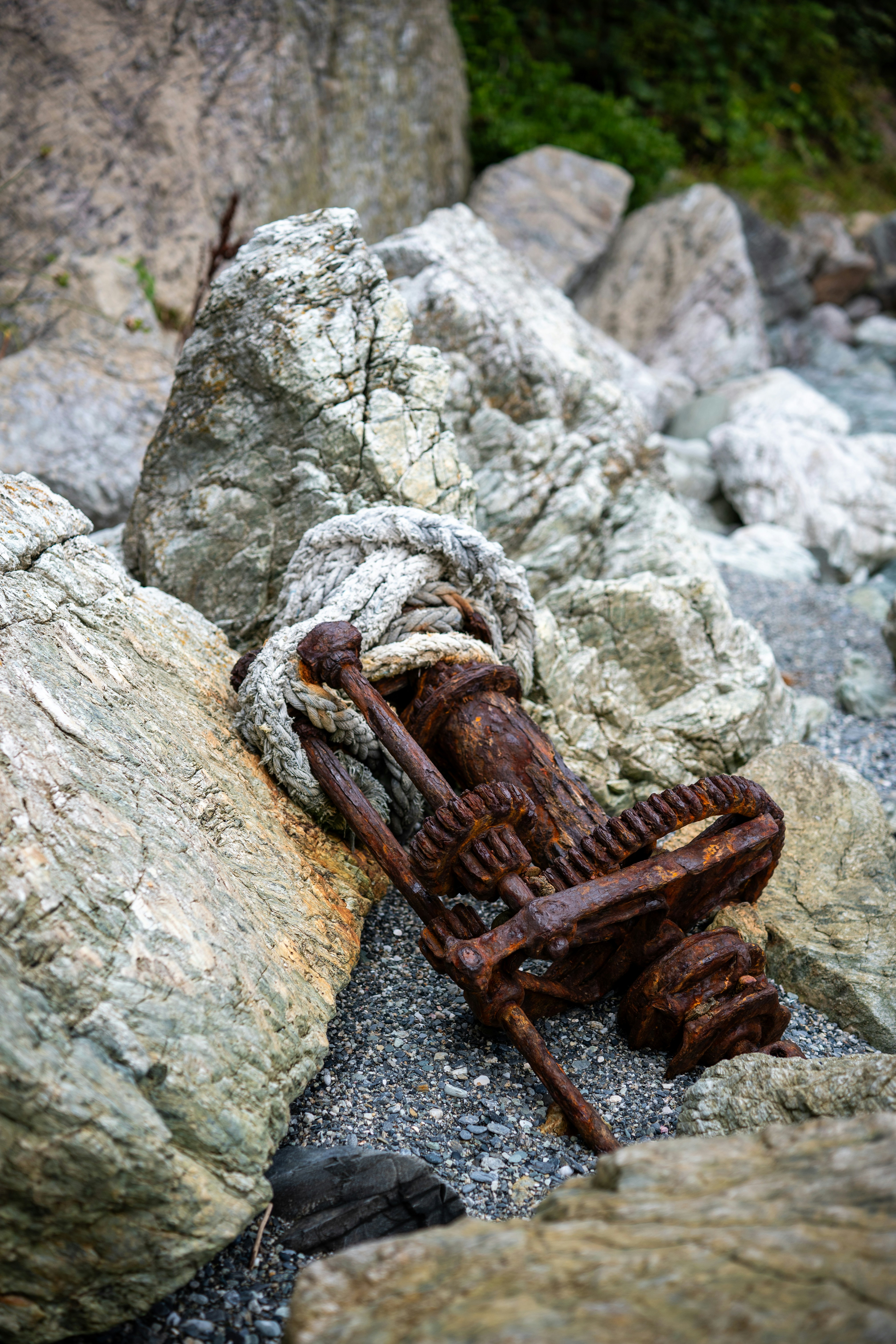 Rust and Resilience: A Forgotten Mechanism