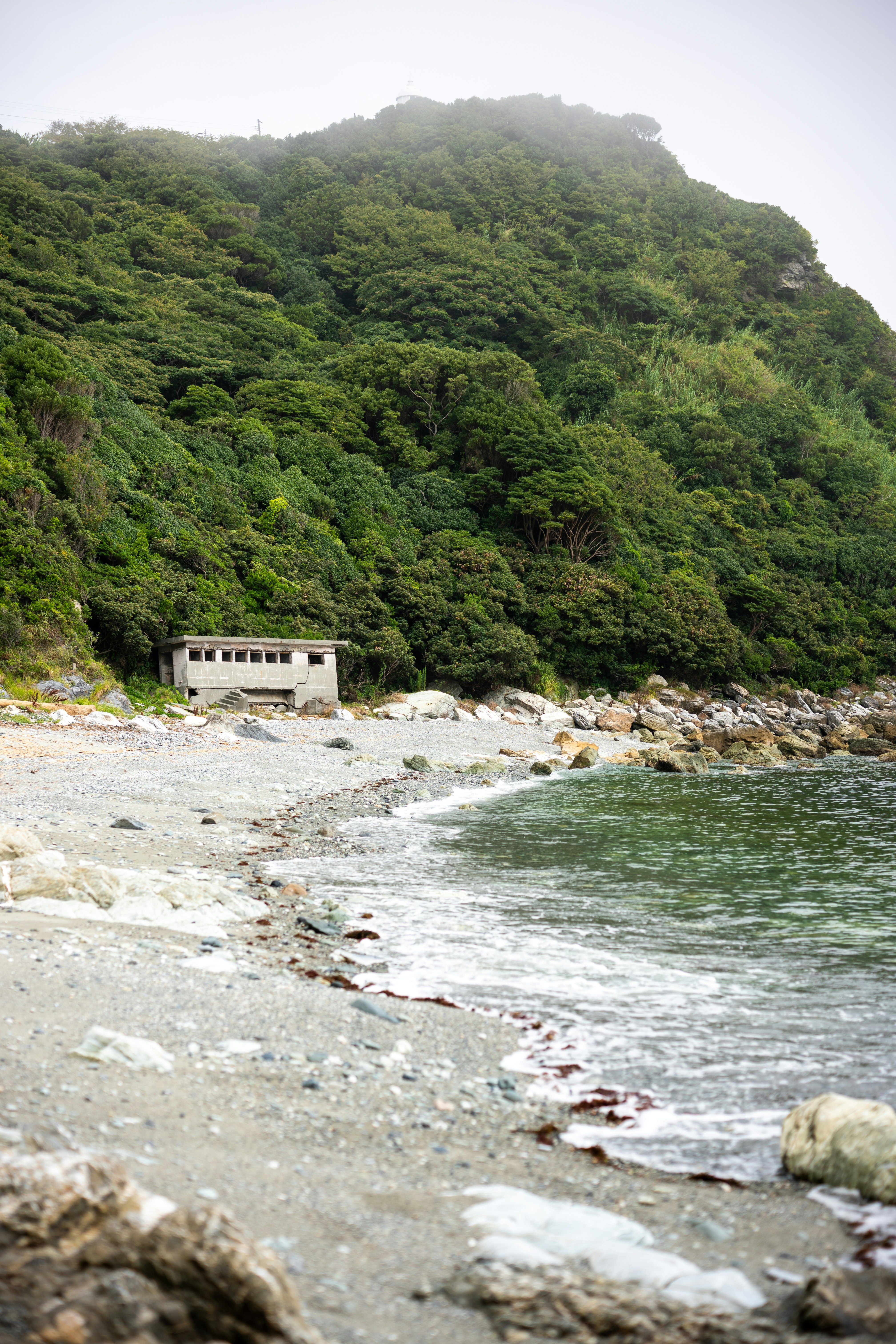 Edge Outpost: Weathered Coastal Hut Against a Lush Cliff