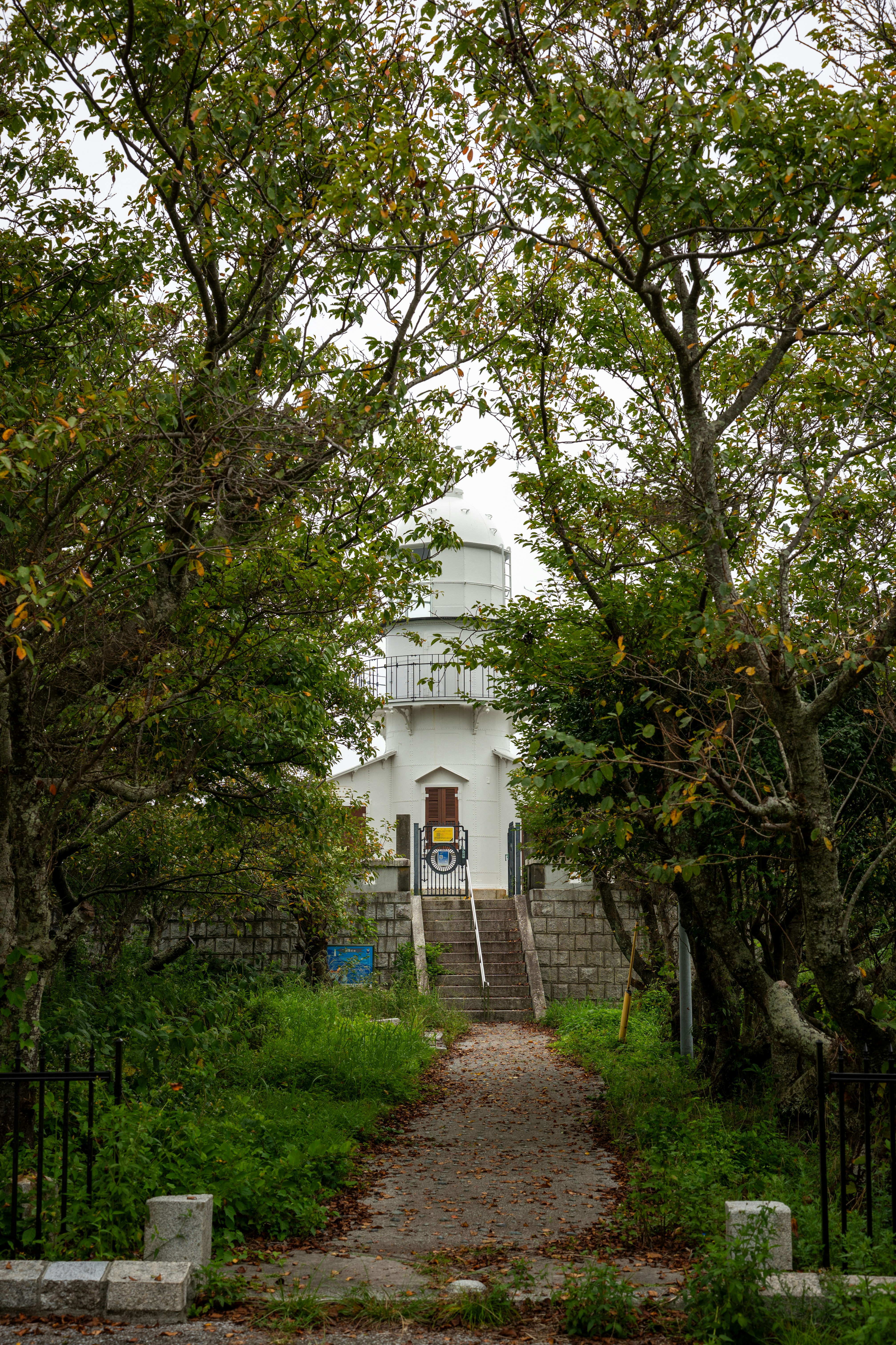 Pathway to the Beacon: A Journey Through Nature