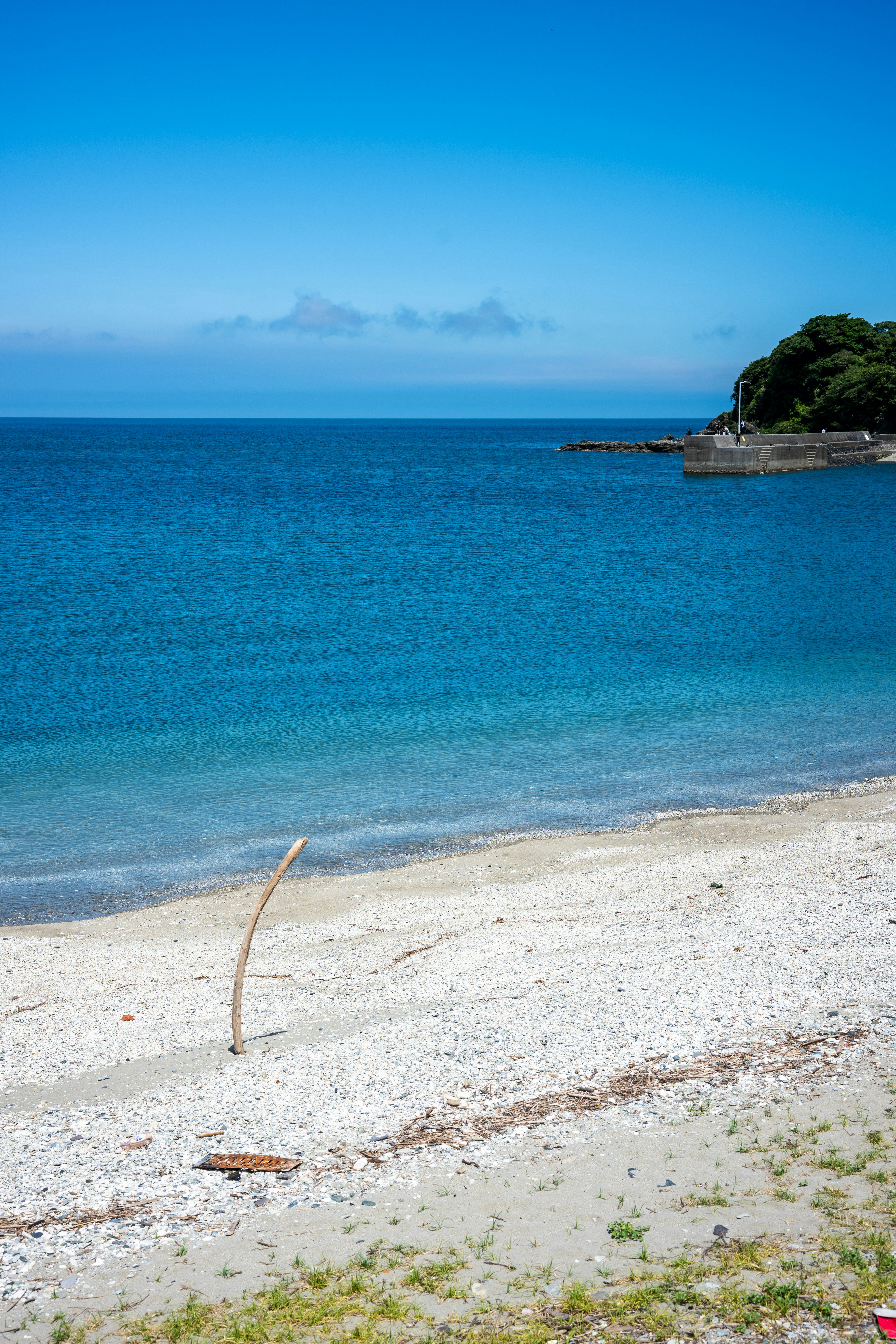 Gentle waves lap against a sandy beach, with a solitary stick arching gracefully over the shore. The vibrant blue sea meets a lush green cliff in the distance.