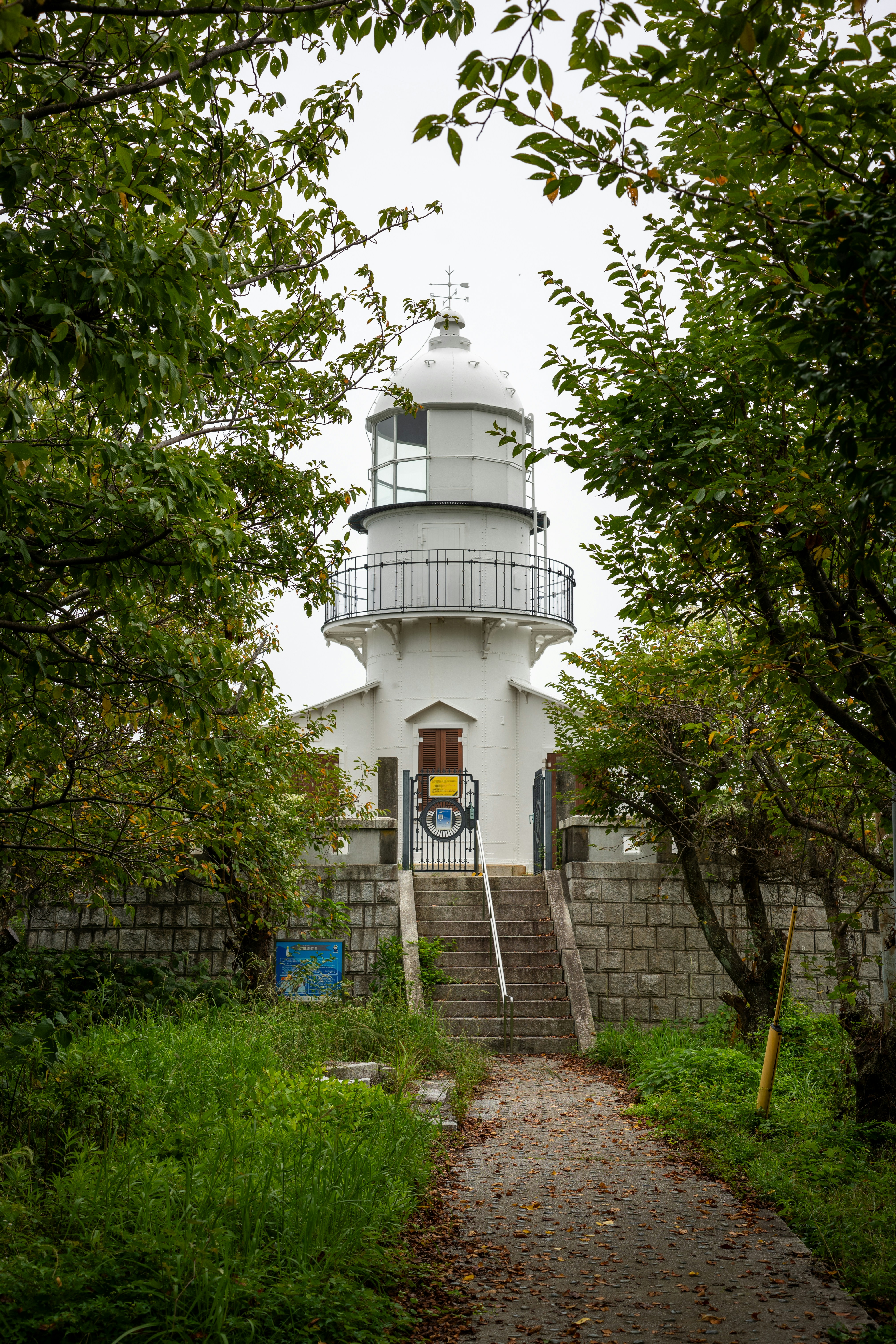 Guiding Light Amidst Nature's Embrace