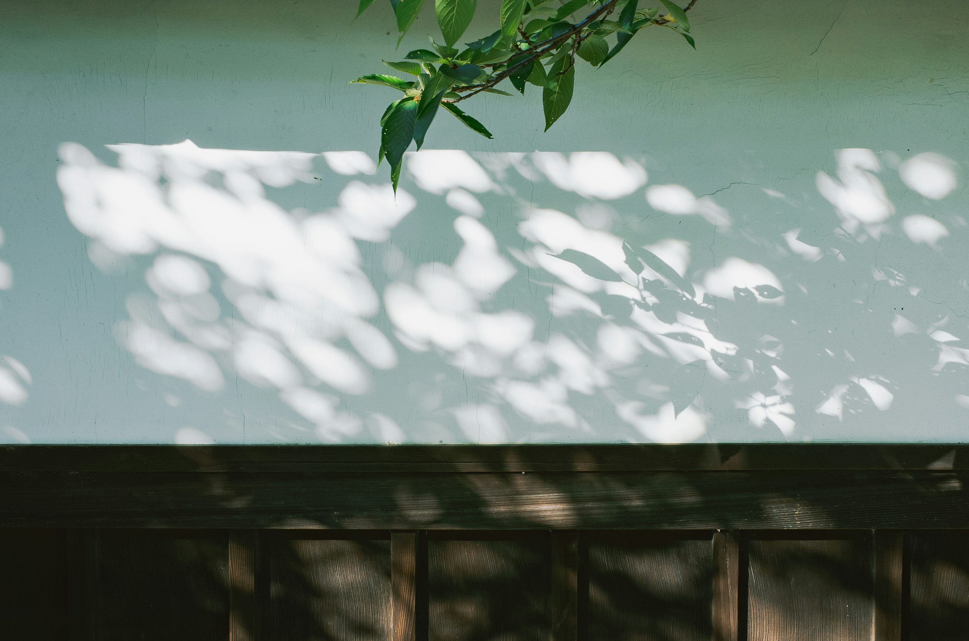 Whispers of Nature on Tranquil Walls