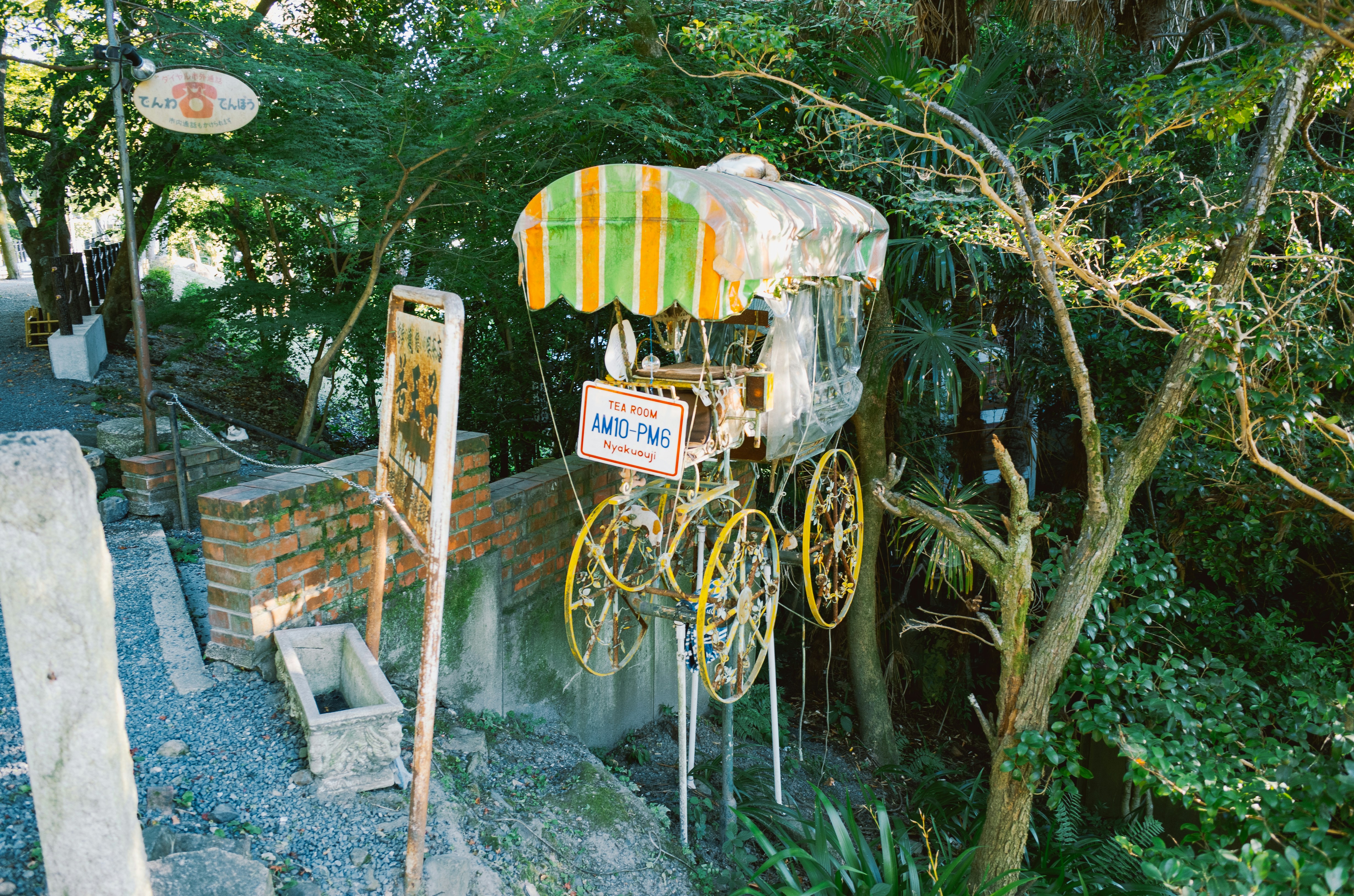 Whimsical Cart Amidst Nature's Embrace