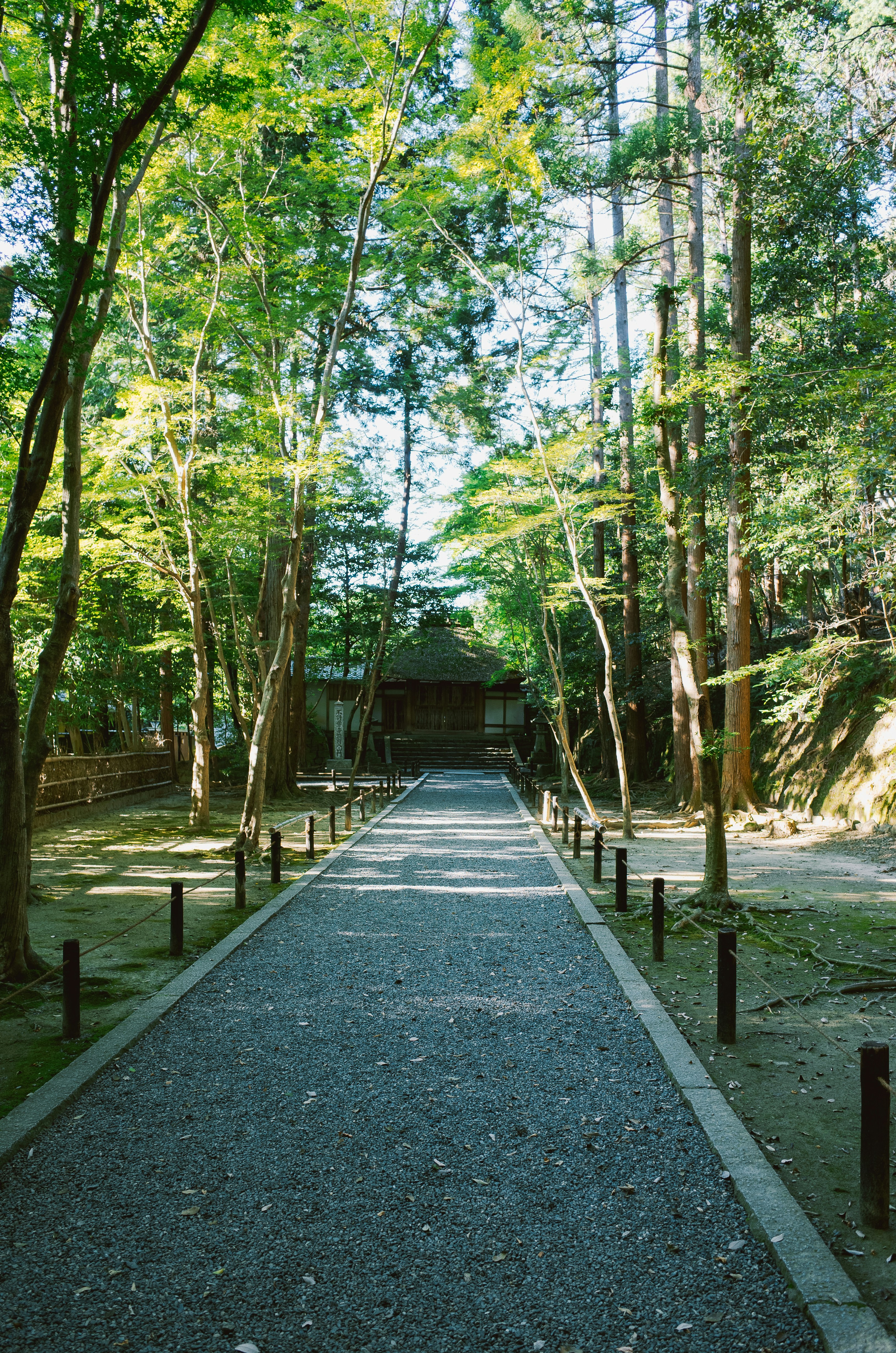 Gravel path leads to traditional japanese building in forest.