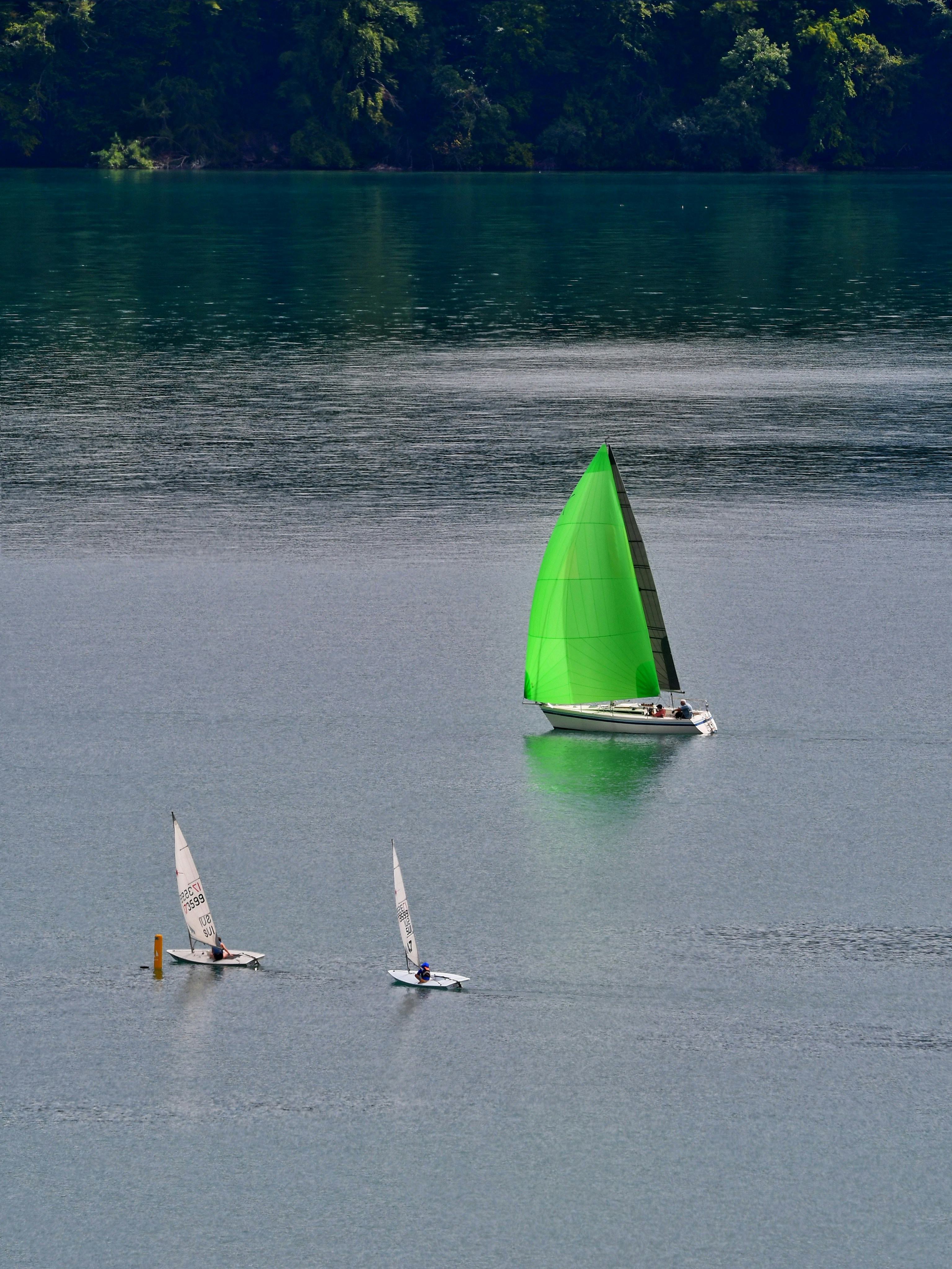 Emerald Breeze on Tranquil Waters