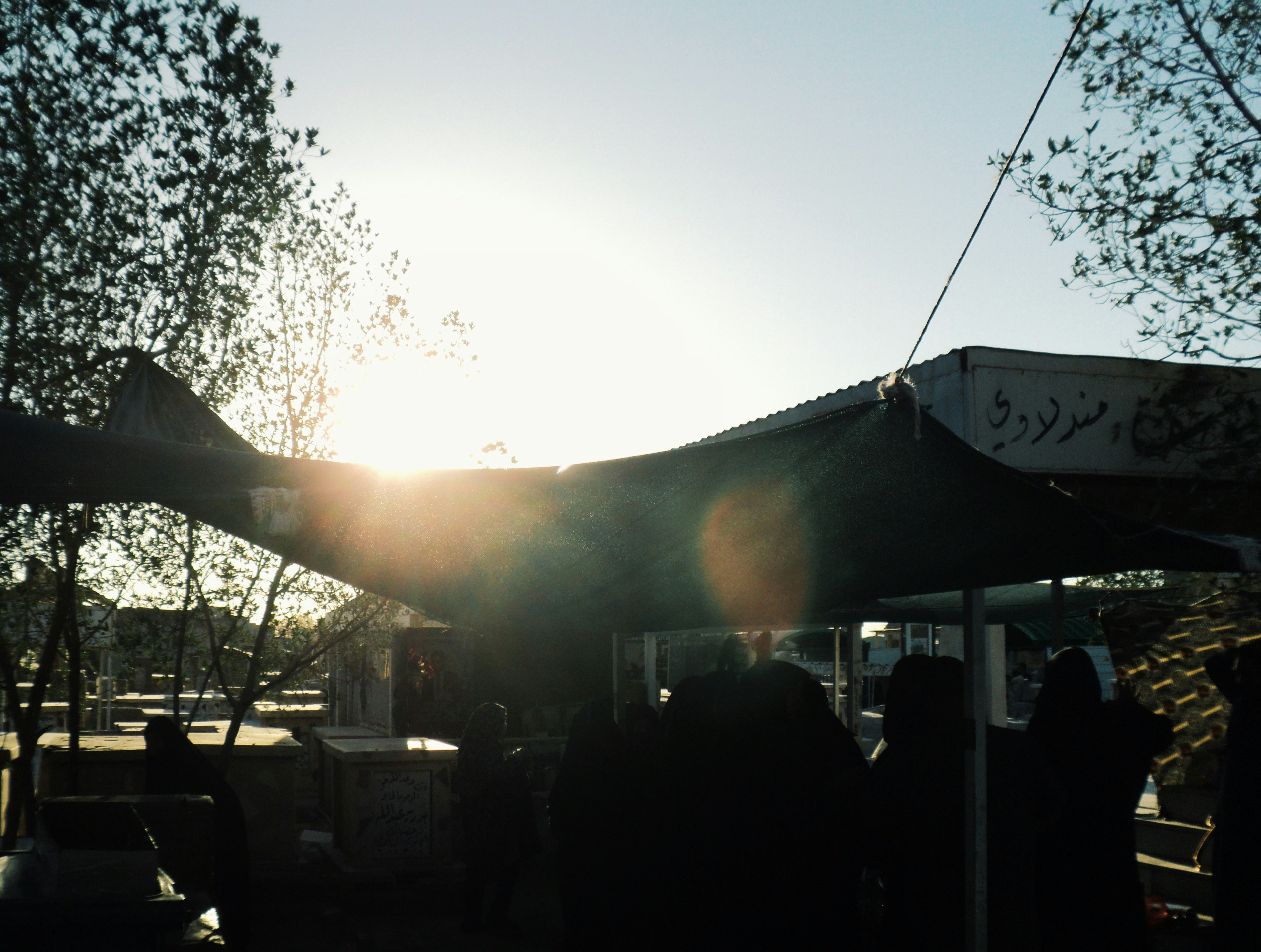 Where a path of light leads to a peaceful rest. | Sunlight shines through trees over a shaded gathering.