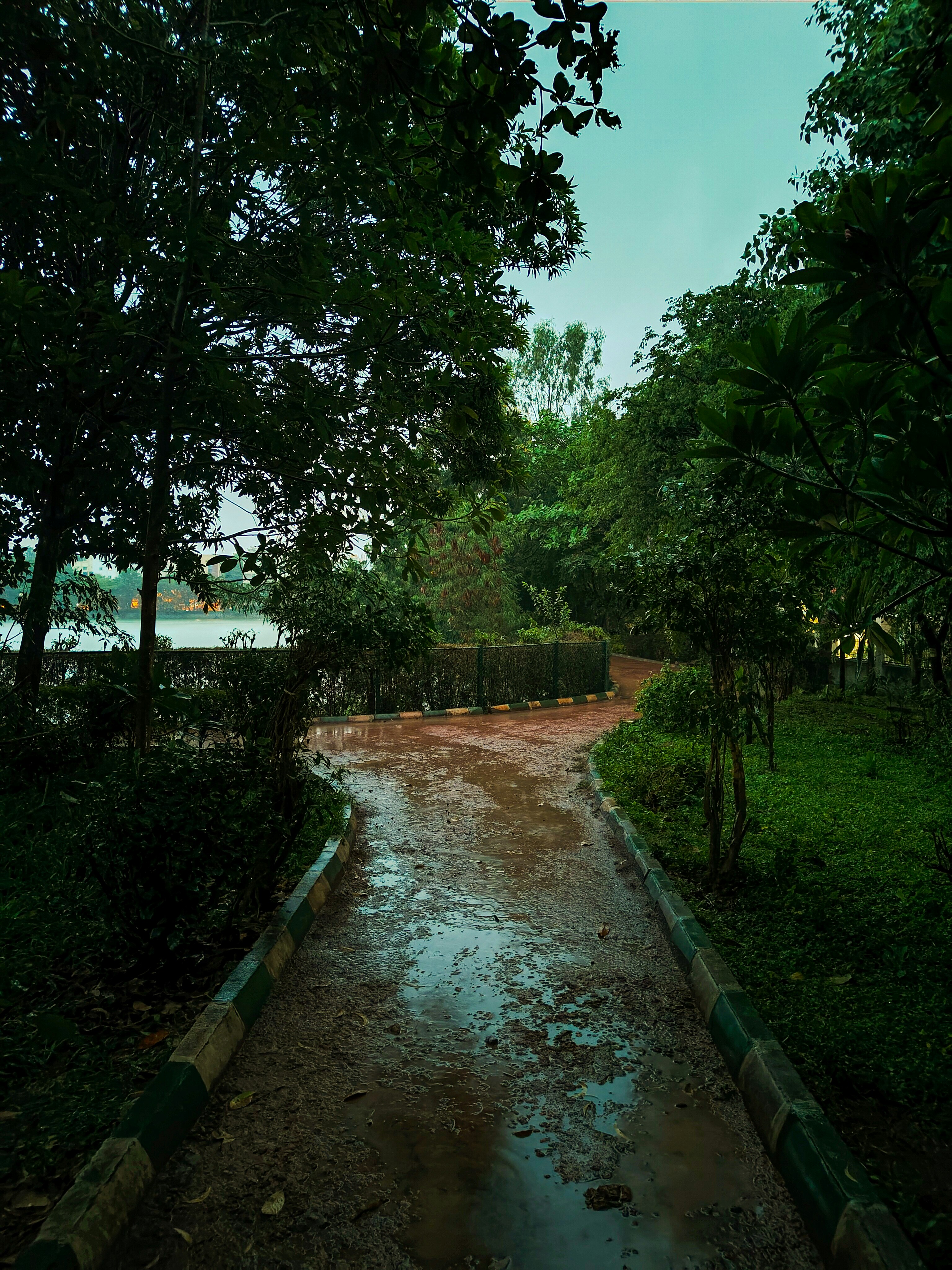 A wet pathway through a lush green park.
