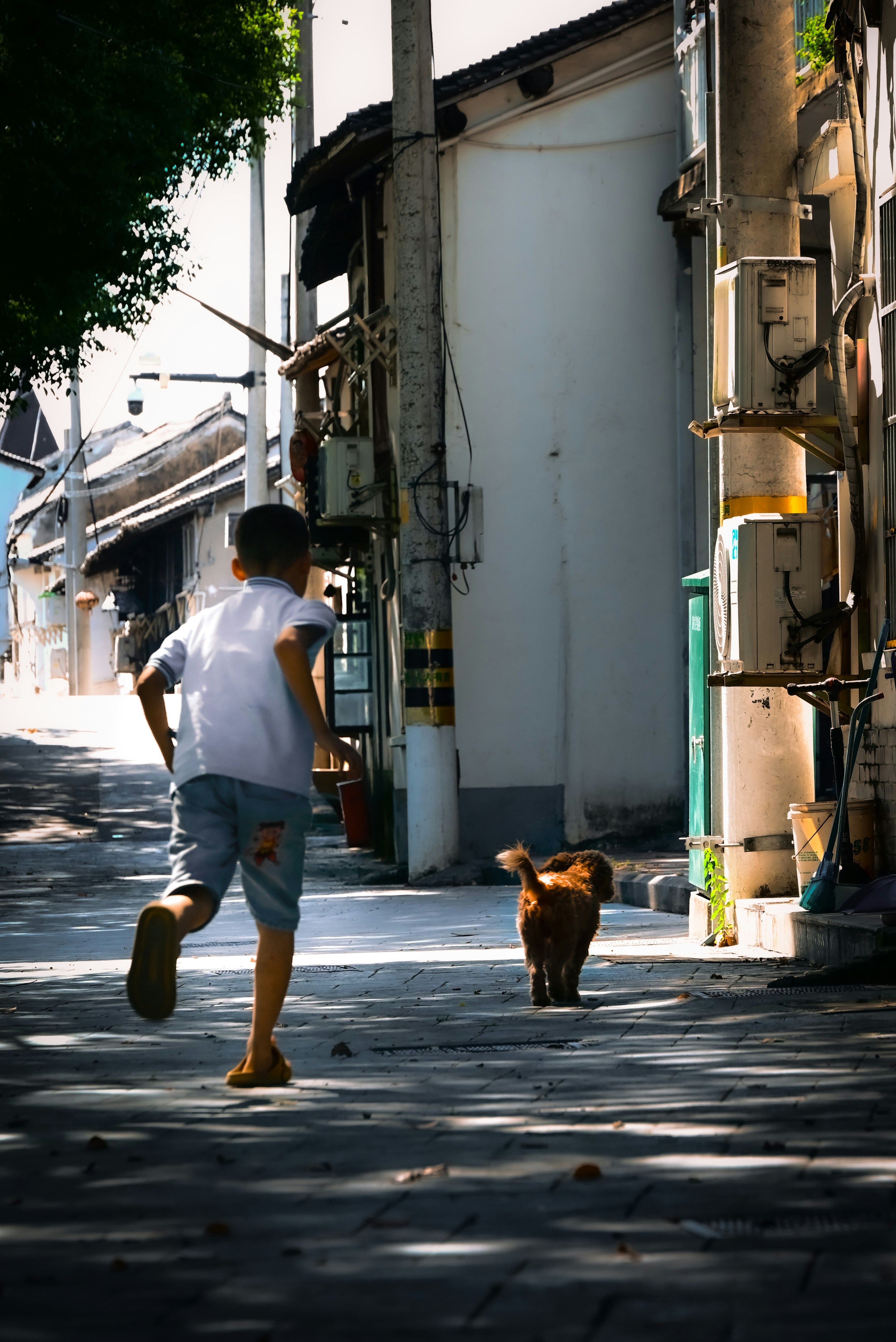 Chasing Joy: A Boy and His Loyal Companion