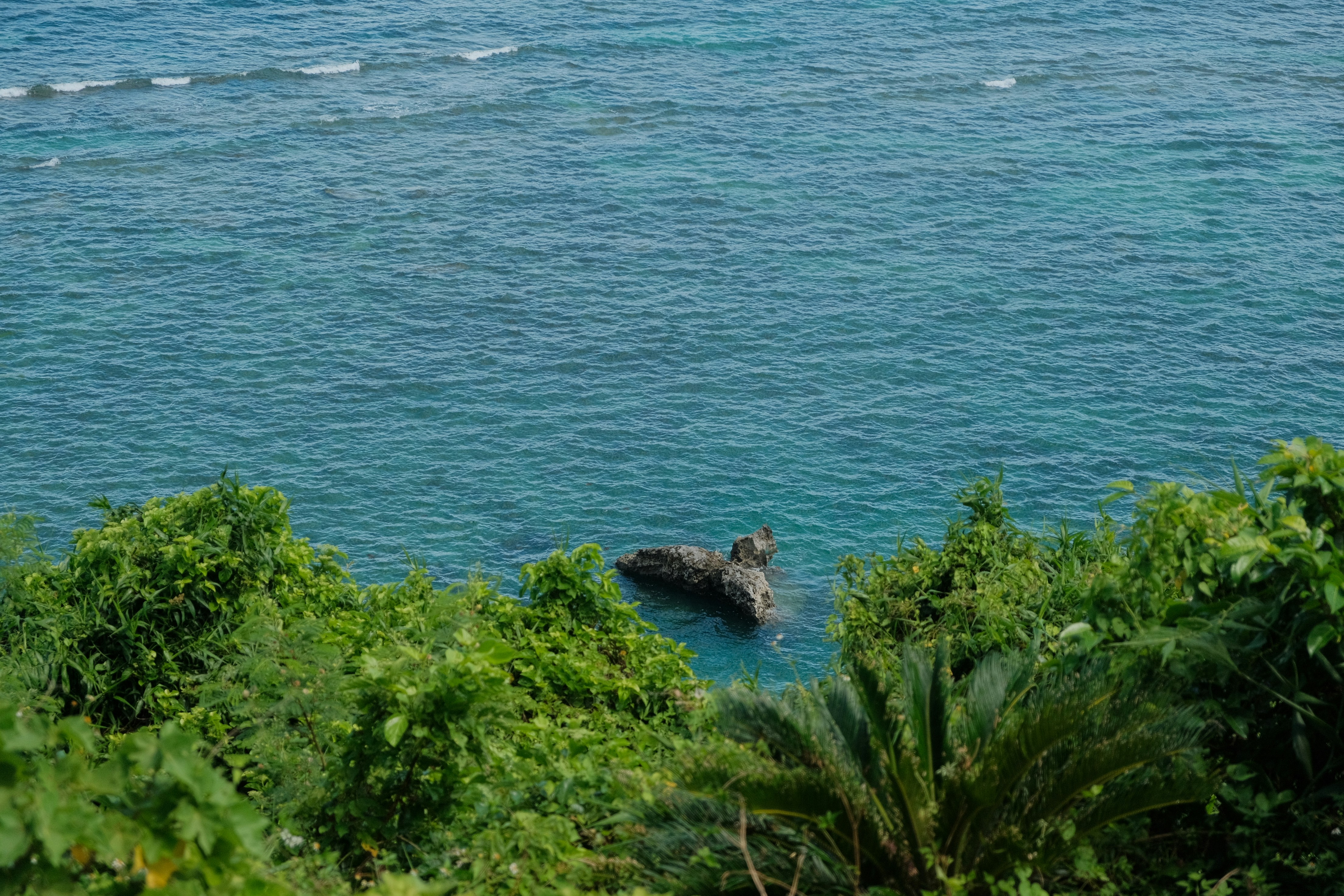 Lush greenery frames a solitary rock emerging from tranquil waters, embodying a peaceful coastal scene.