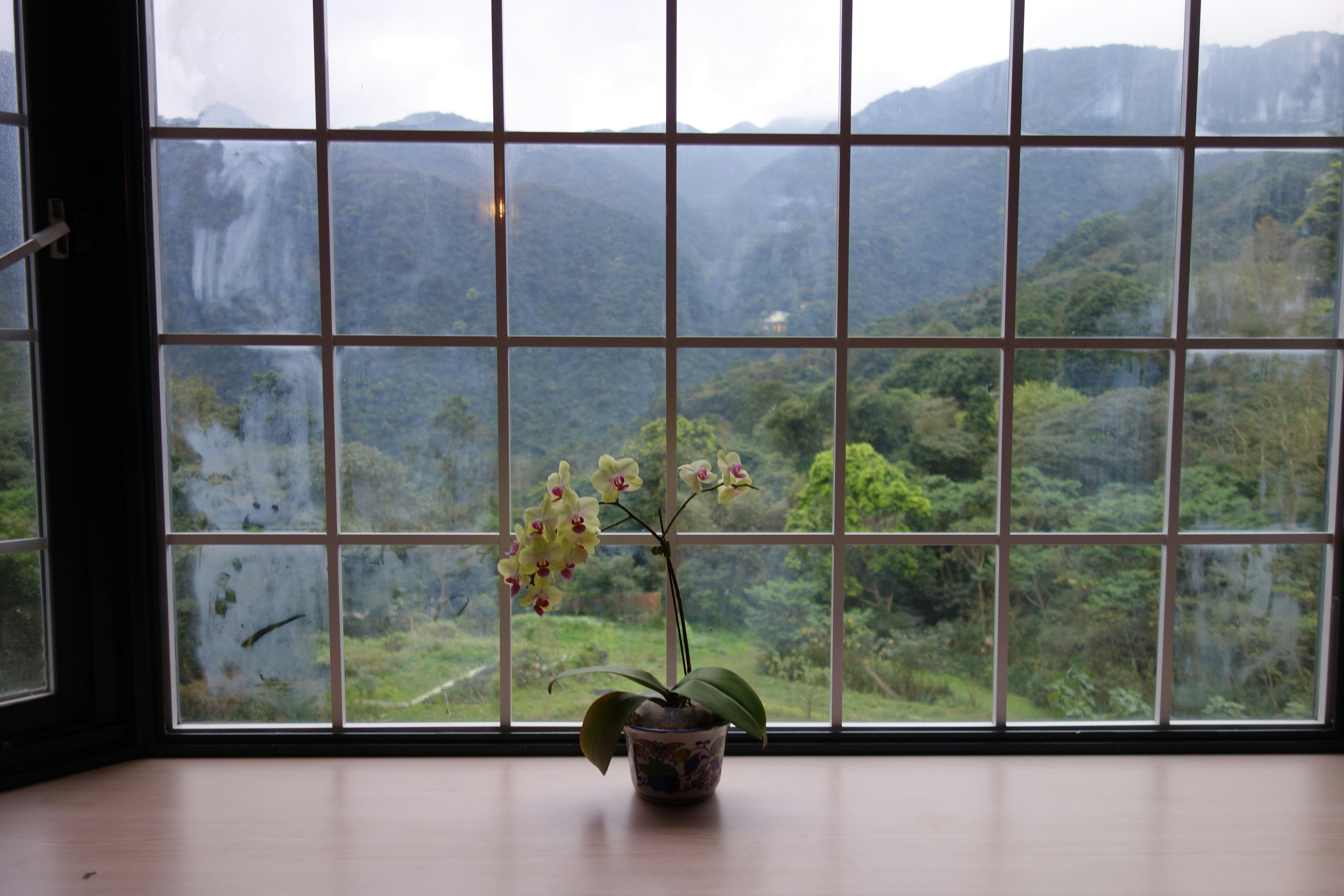 Orchid on the Windowsill with Mountain Vista