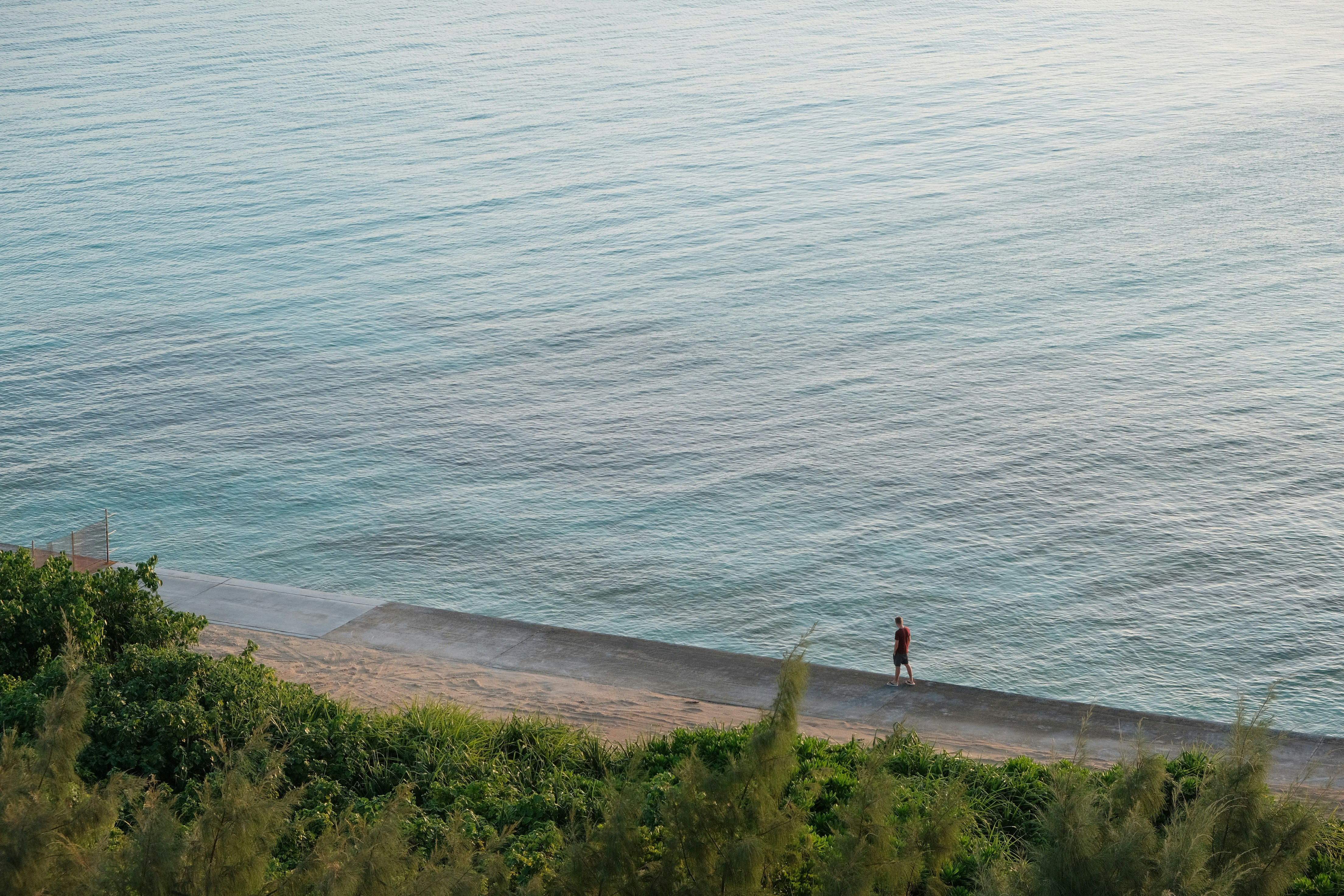 A solitary figure strolls along a tranquil beach, framed by lush greenery and calm waters. The scene captures a moment of peace and reflection.