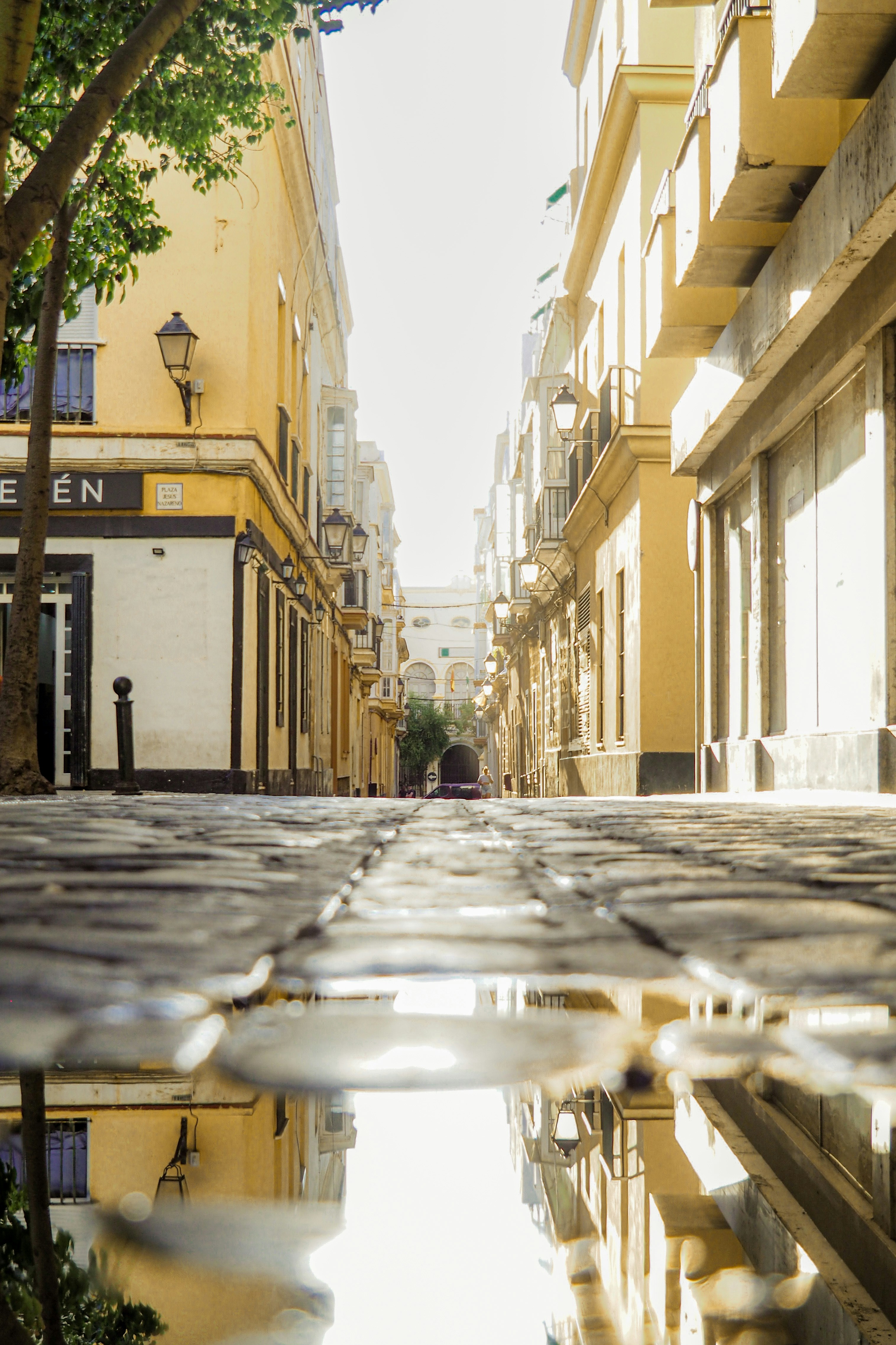 Cobblestone street with buildings and reflection