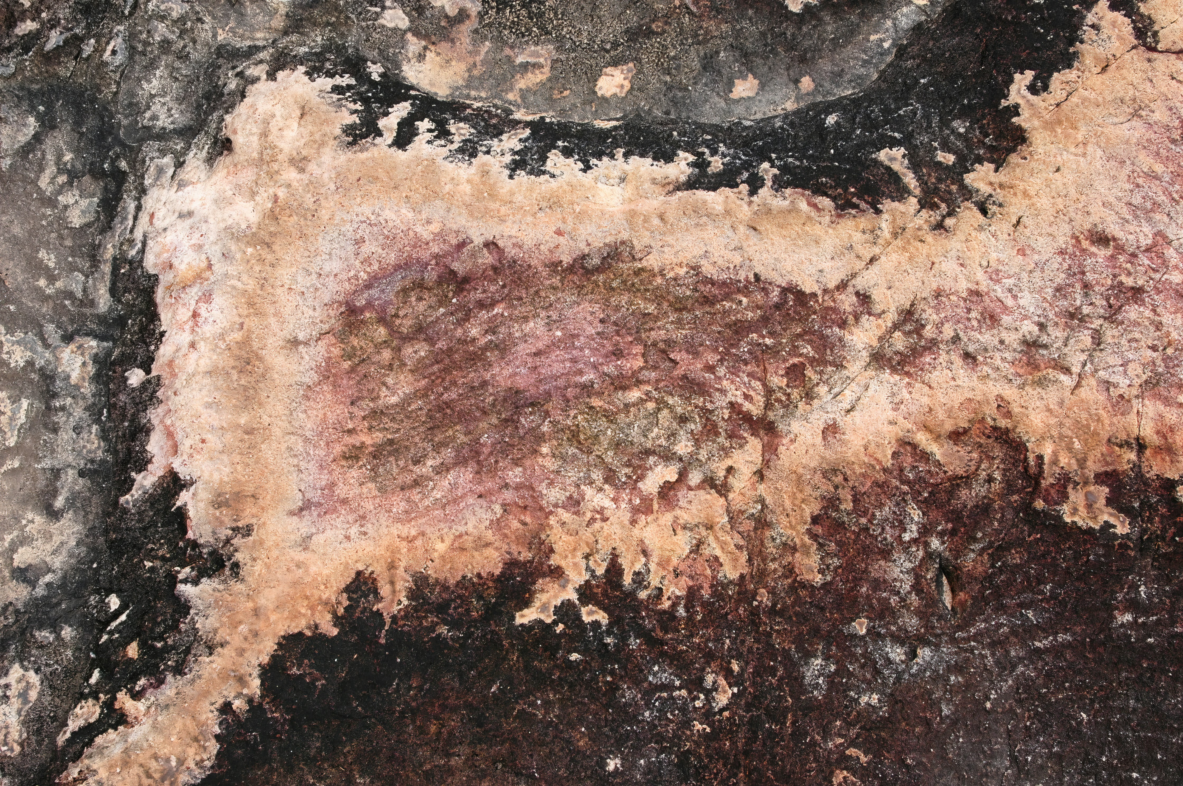 Close-up of textured mineral deposit with pink and white hues