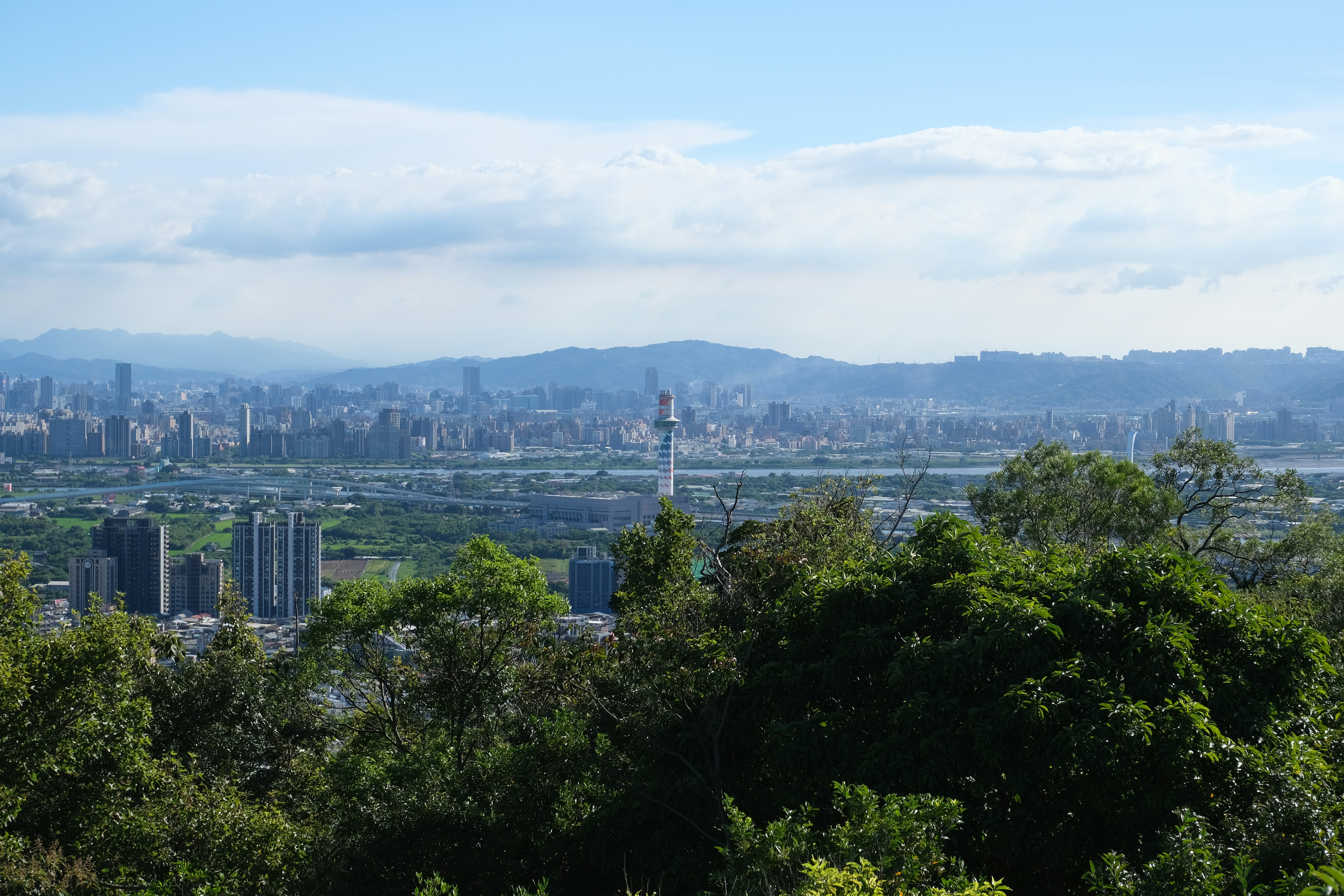 Lush greenery foreground juxtaposed against a sprawling urban skyline with distant mountains under a clear blue sky.