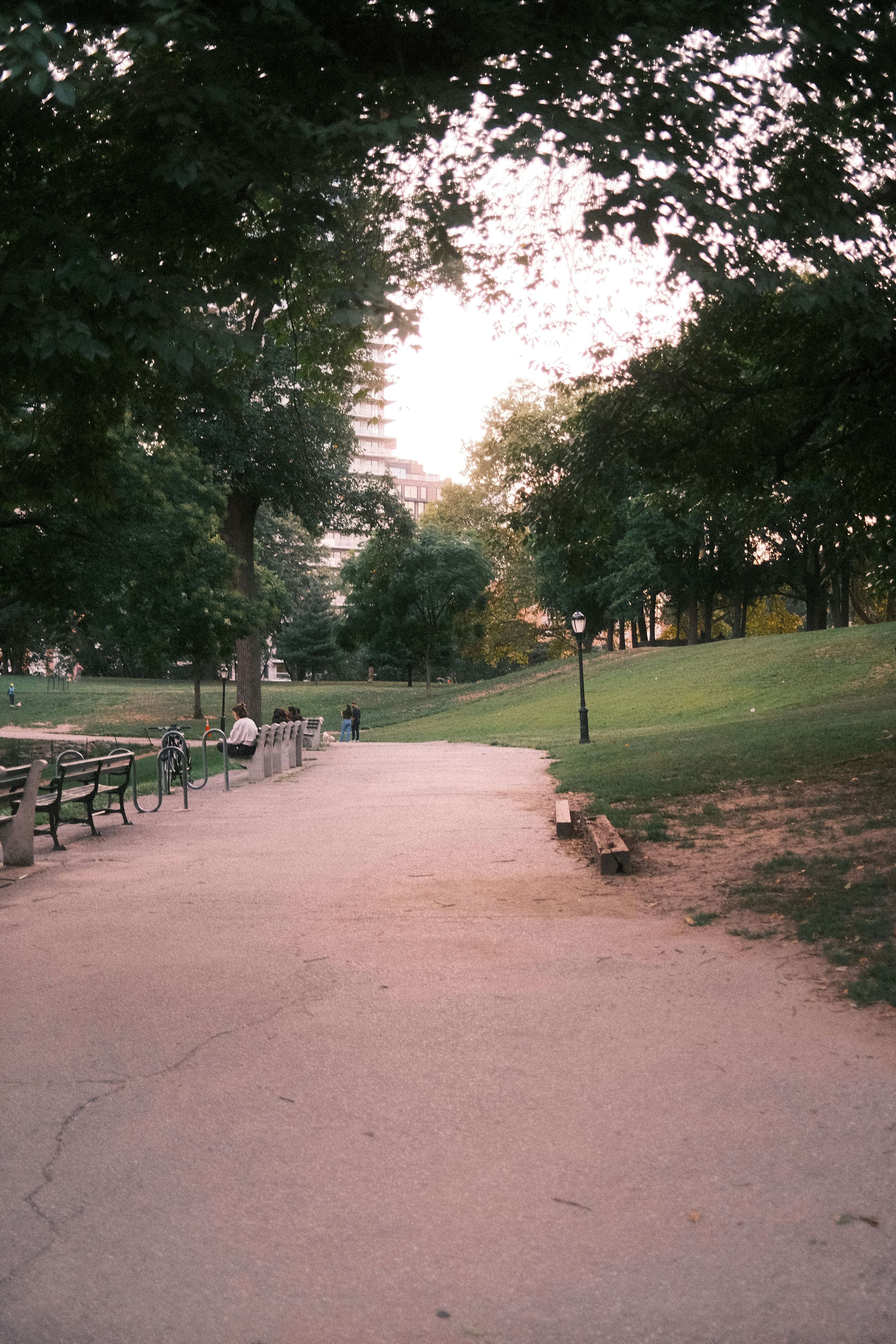 Path through a park with trees and benches.