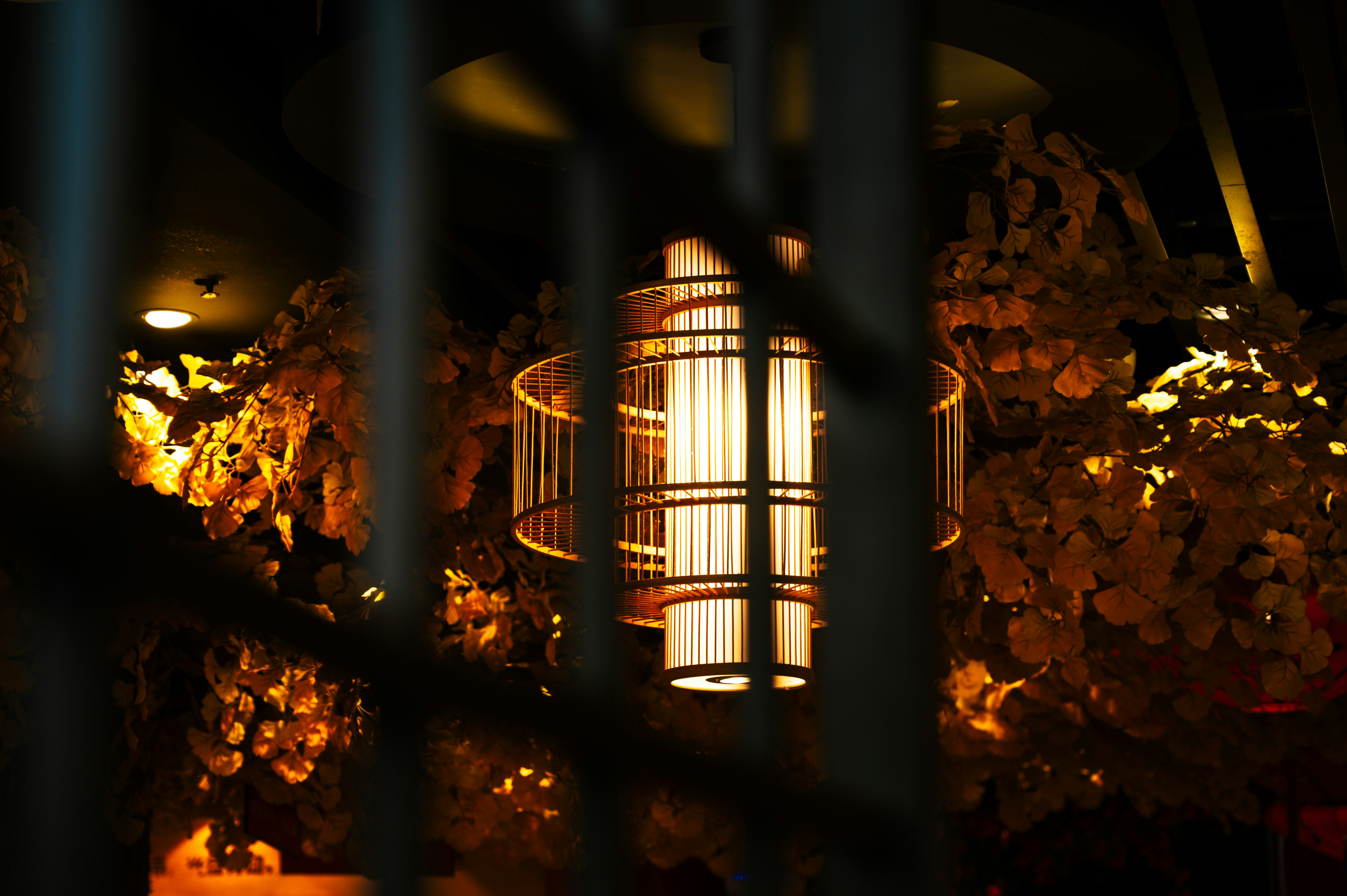 Illuminated lantern behind decorative bars