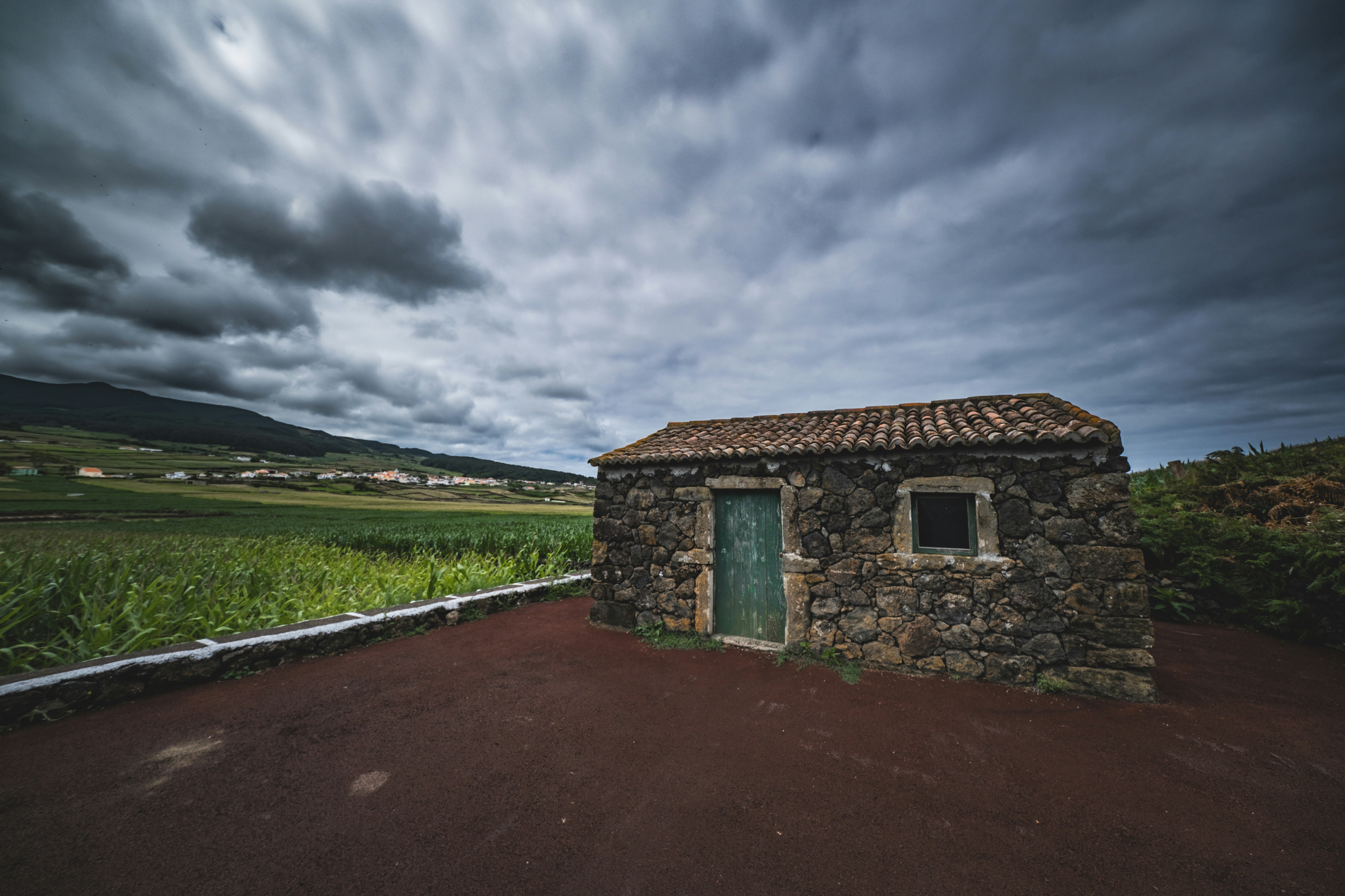 Whispers of a Forgotten Homestead
