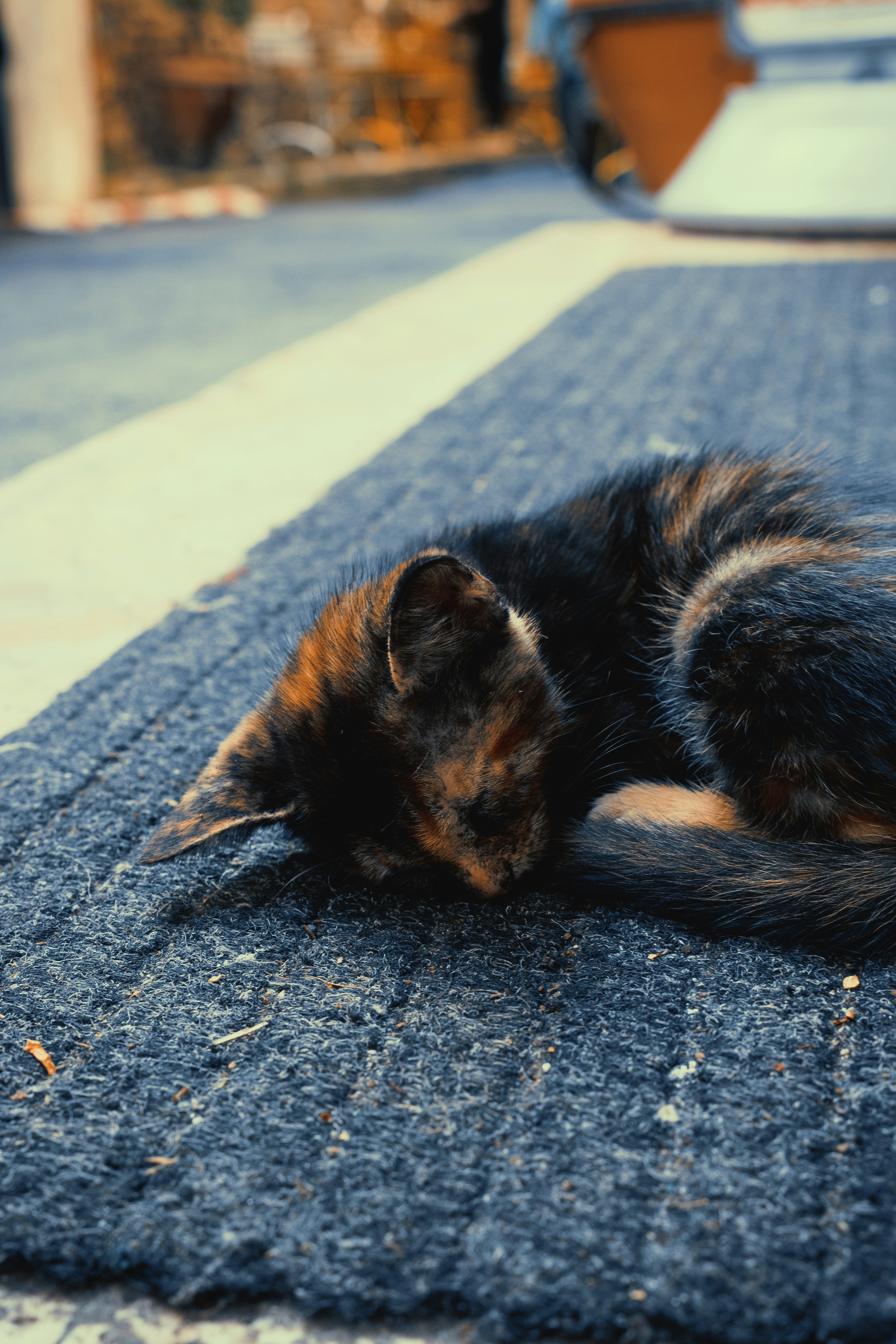 Photo by Fatih Berat Örer with Sony Alpha 7 IV