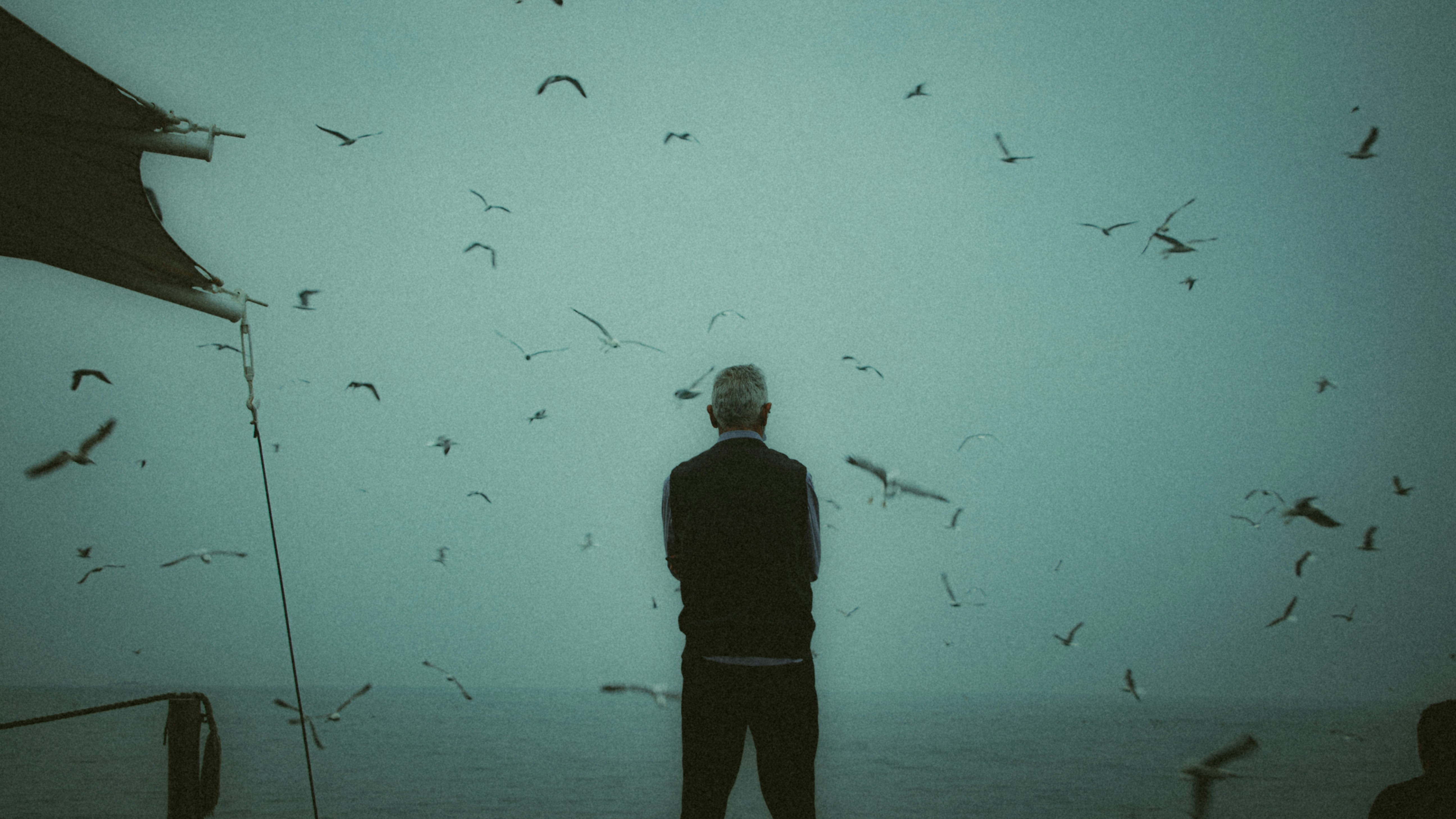 A figure stands at the edge of the sea, surrounded by a flurry of birds against a misty backdrop. The scene evokes a sense of solitude and contemplation.