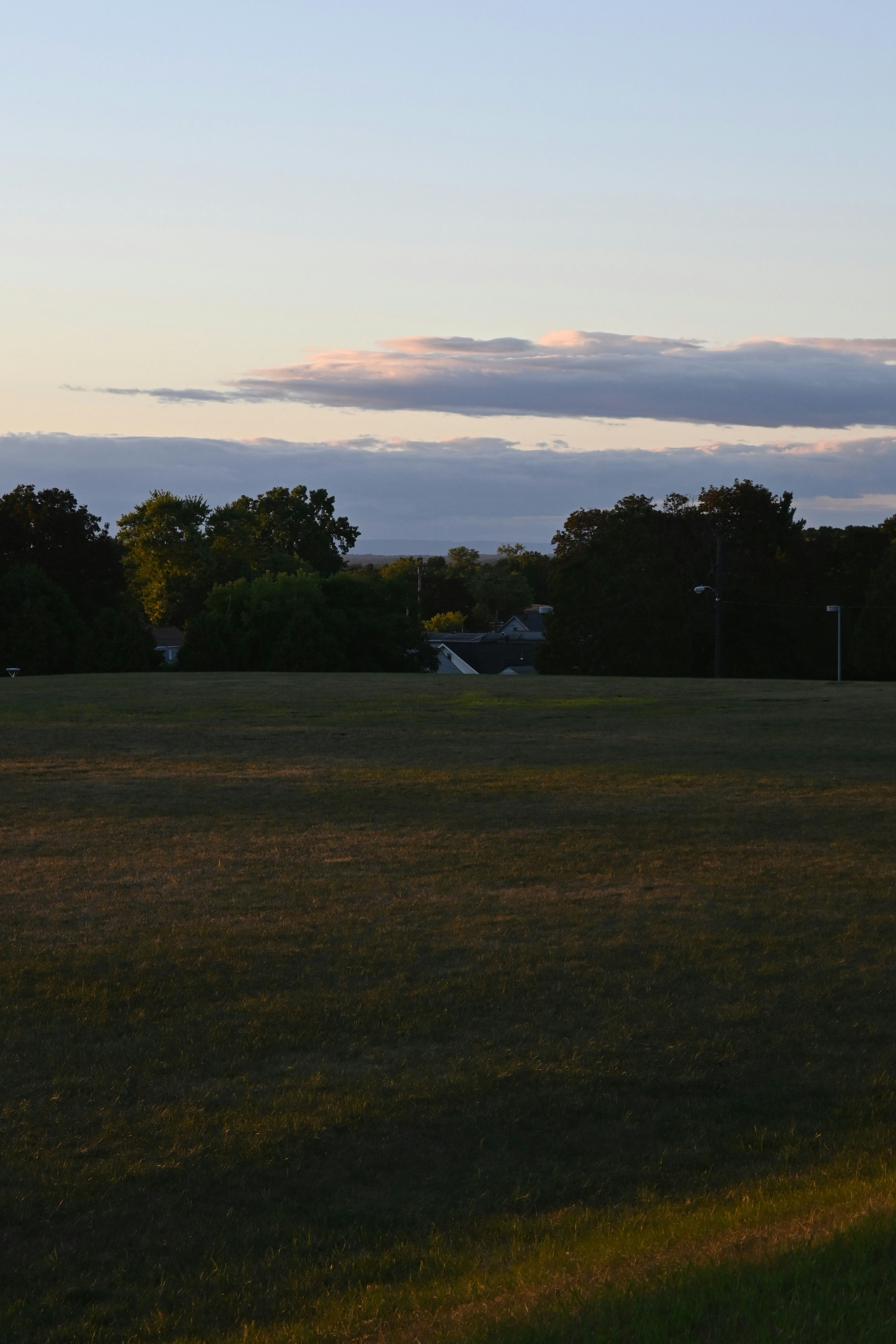 Grassy field with trees and houses at sunset