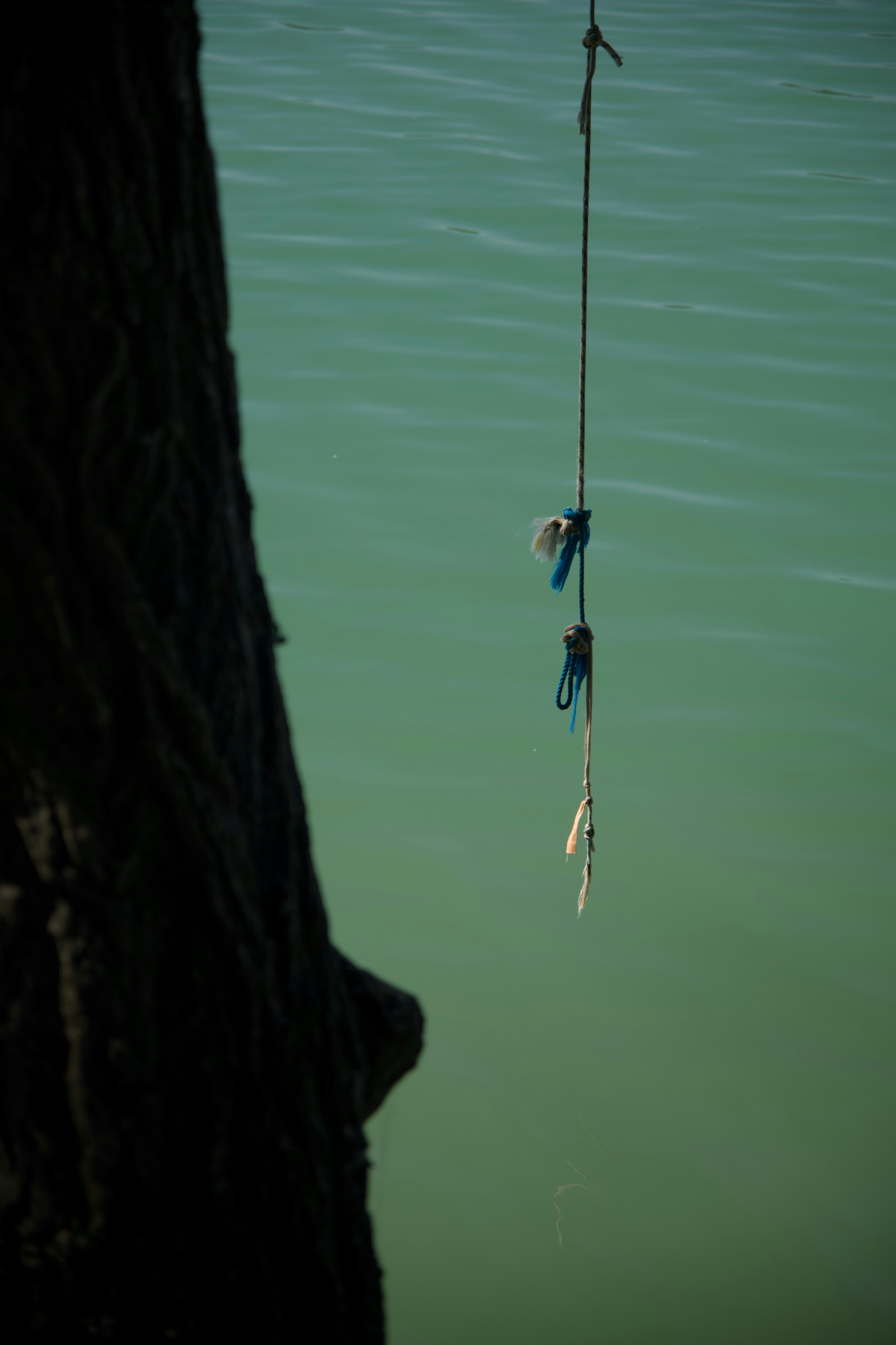 Rope swing hanging over turquoise water