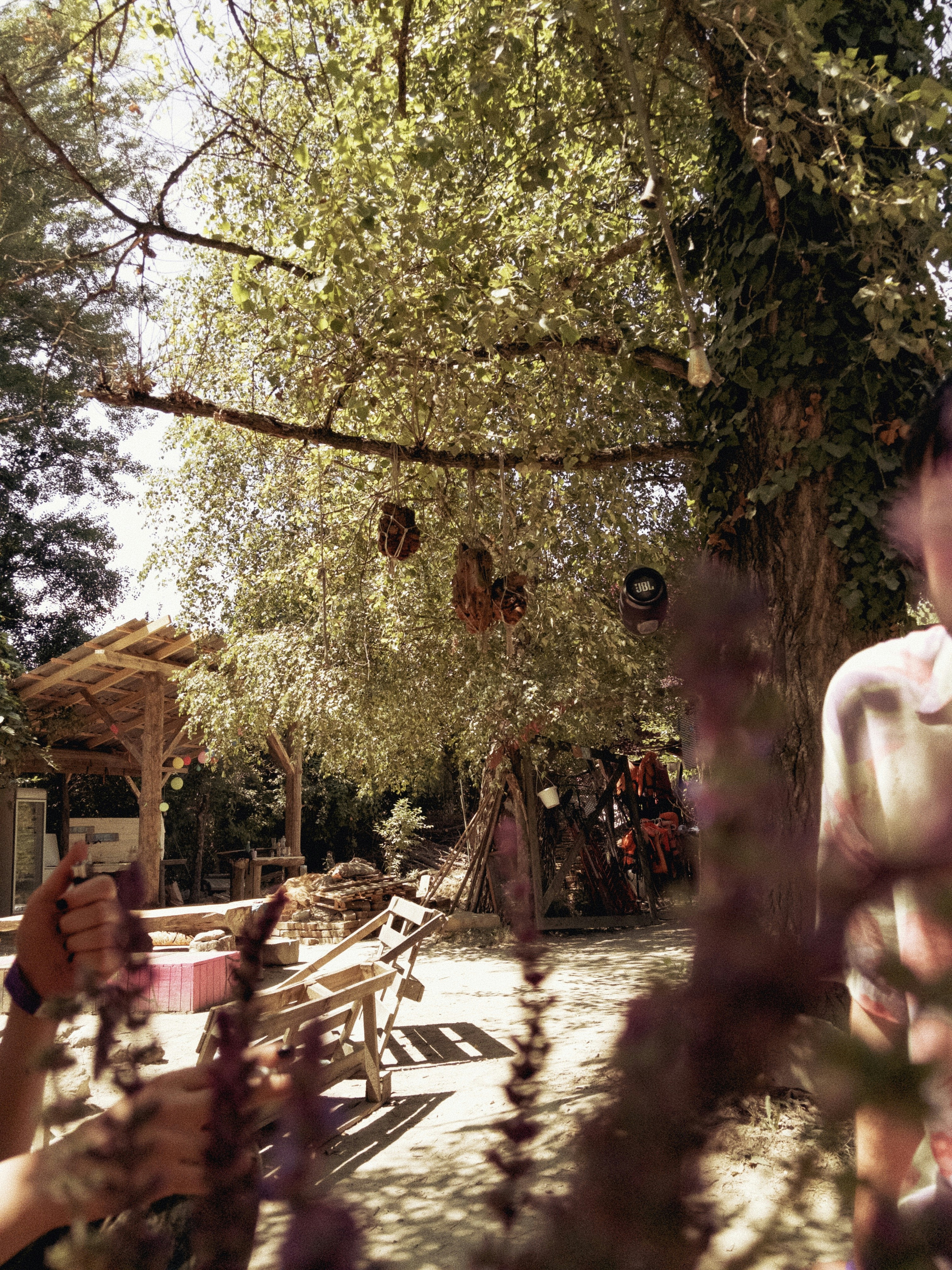 Whispers of Nature: A Serene Gathering Spot