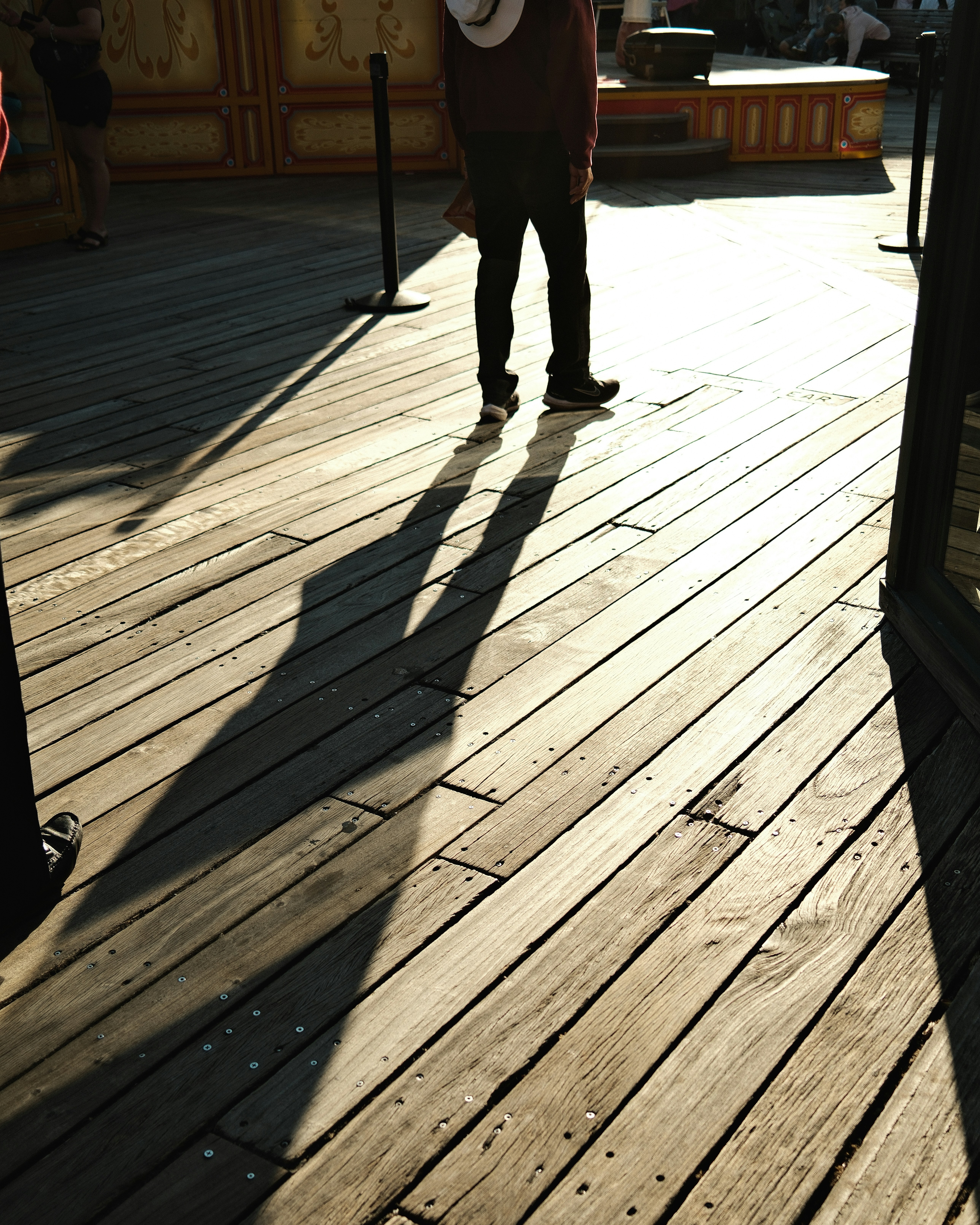 Shadows of Leisure: A Day at the Fair