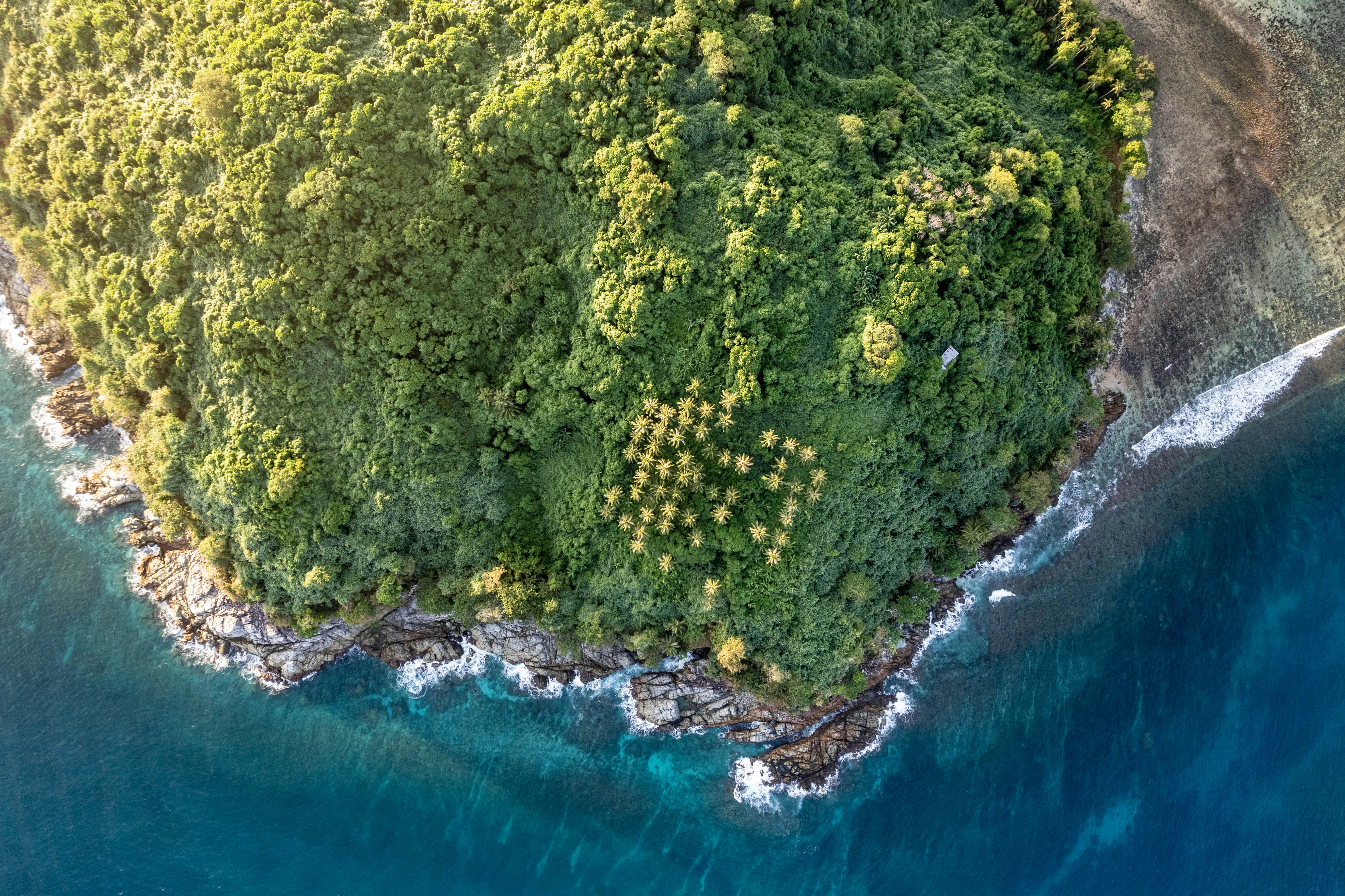 Lush green island with palm trees and clear blue water