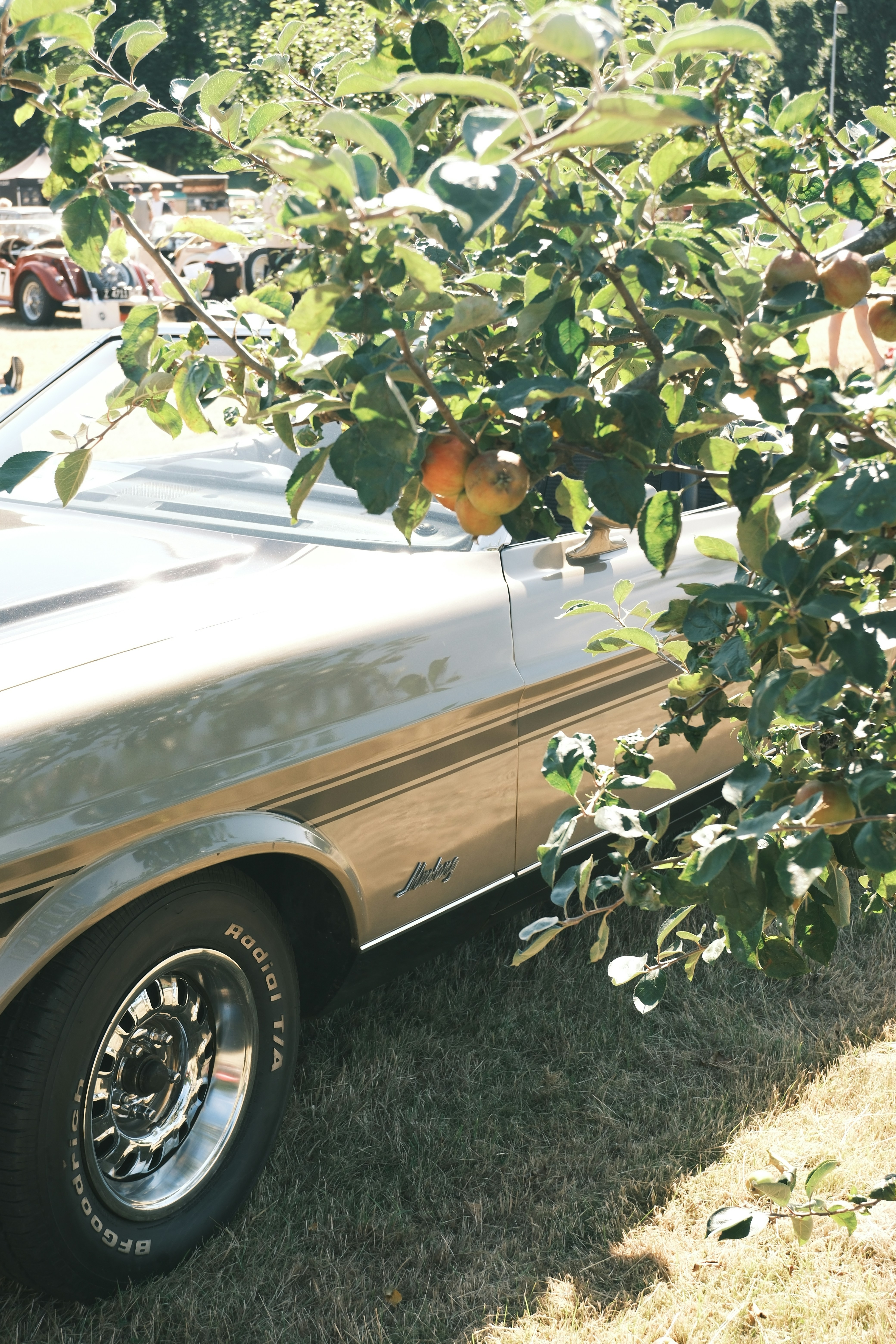 Vintage Elegance Amidst Nature's Bounty