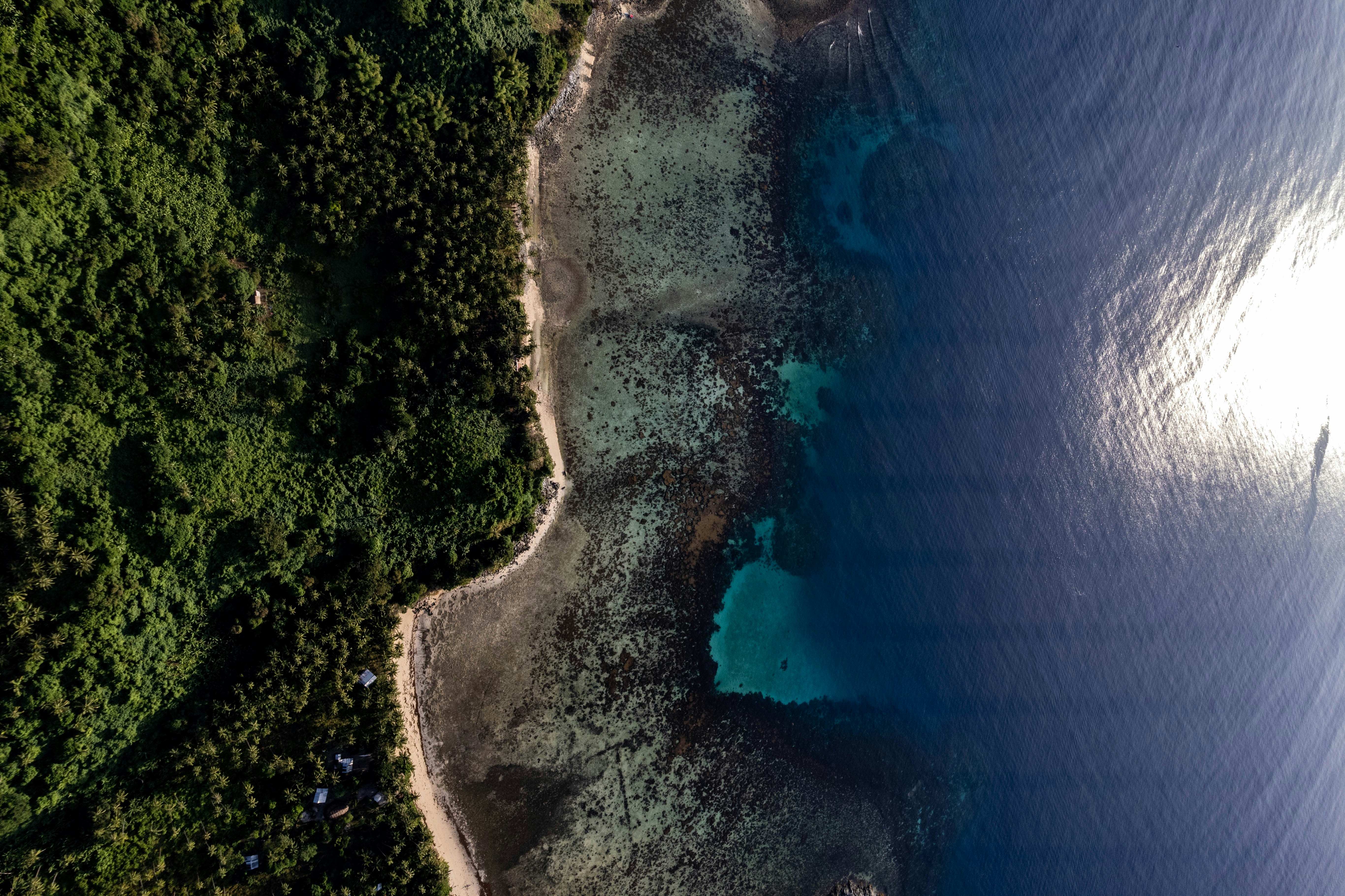 Aerial view of lush green coastline meeting clear blue ocean